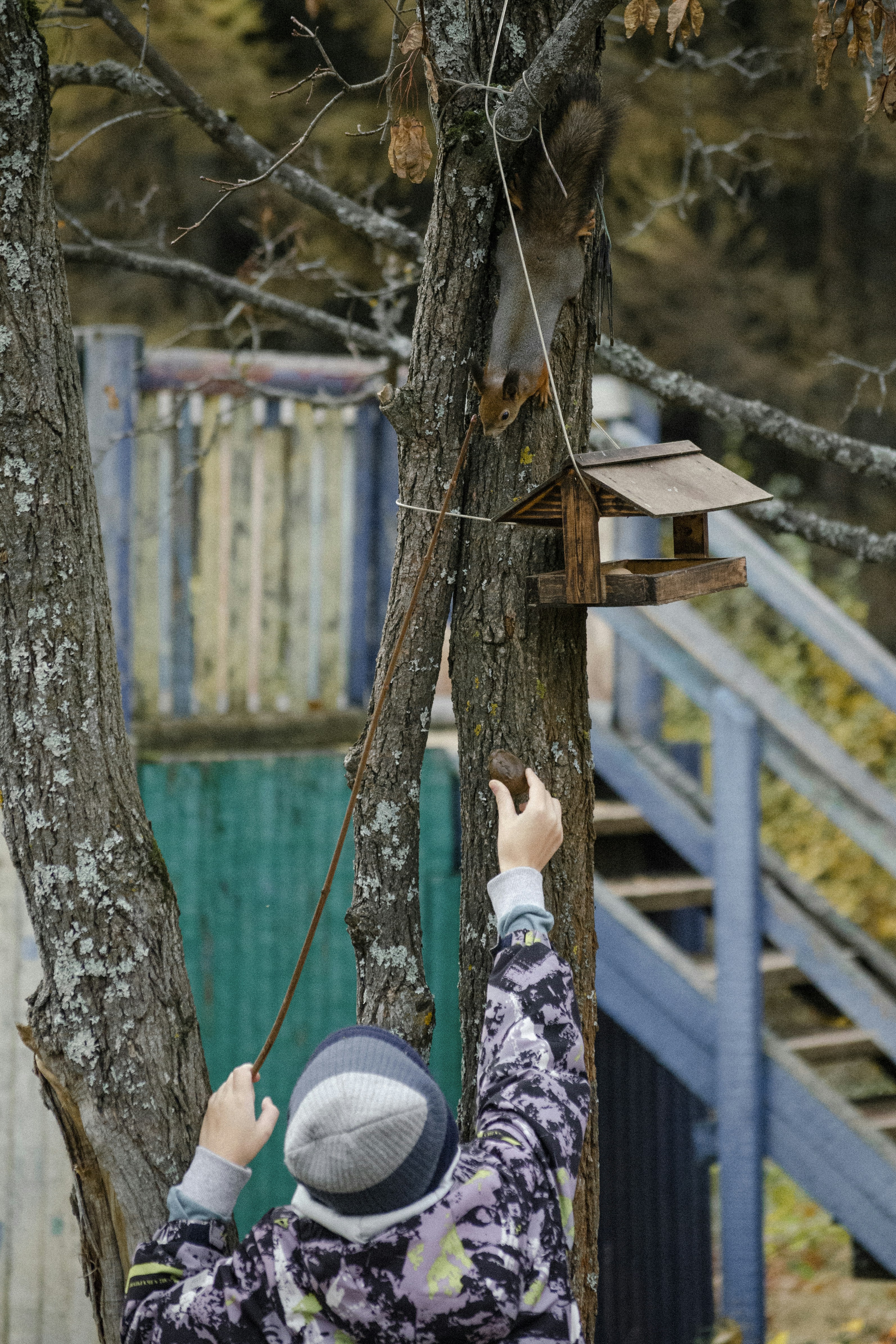 Child Reaches to Touch a Suspended Birdhouse in a Woodland Scene