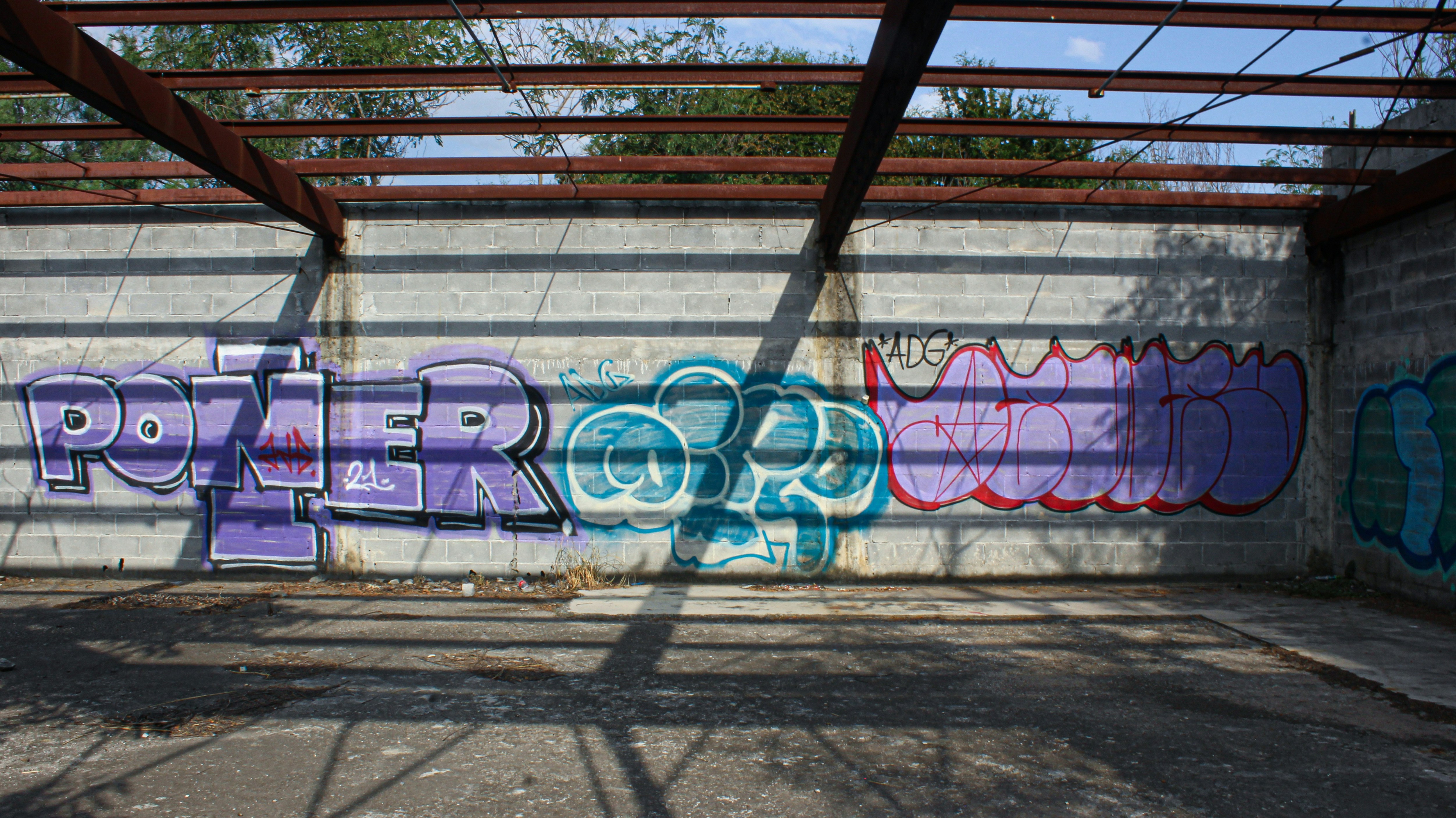 Urban Canvas Beneath the Forgotten Roof