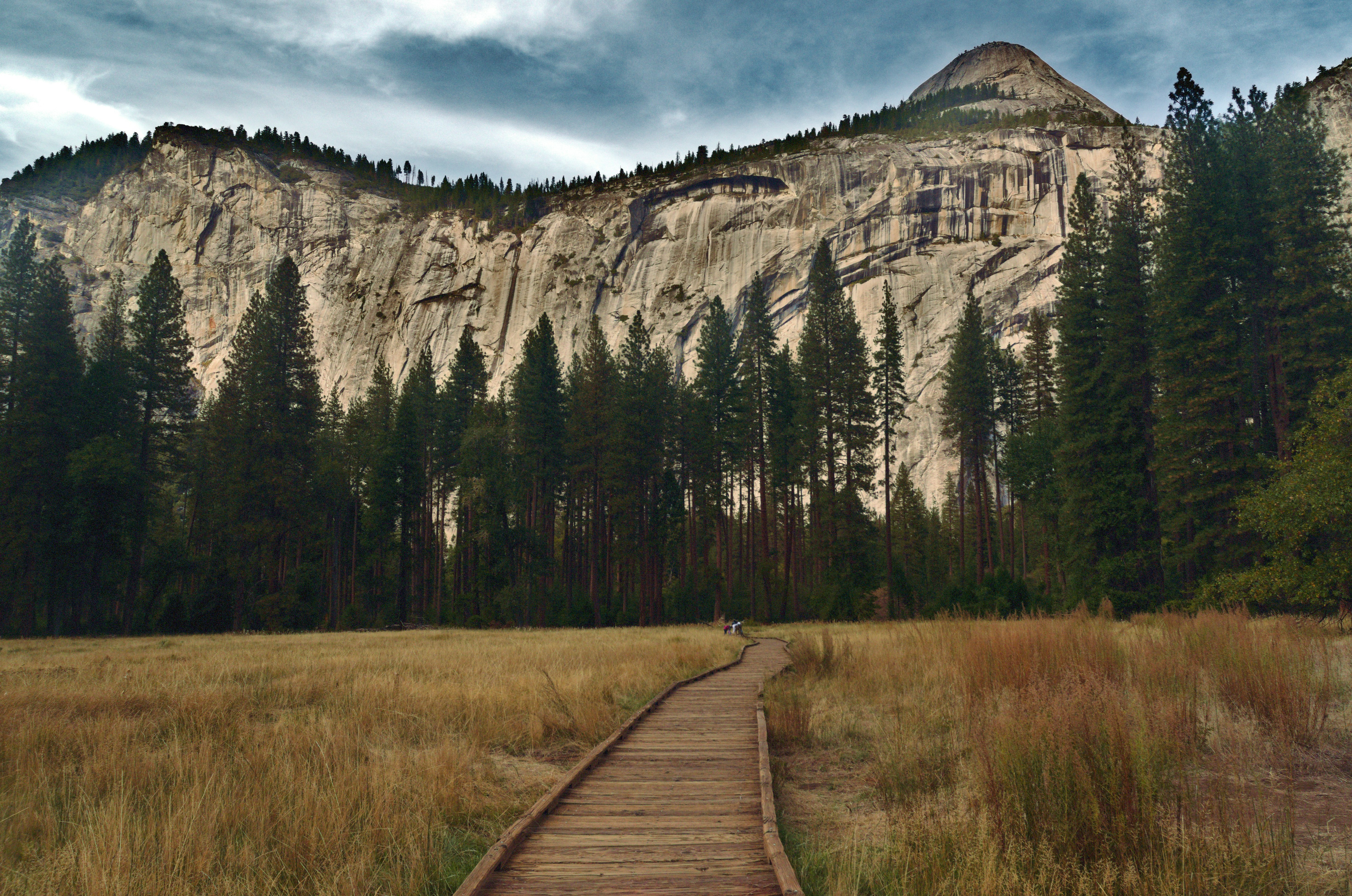 Boardwalk Through Meadow Toward Cliffline Pines