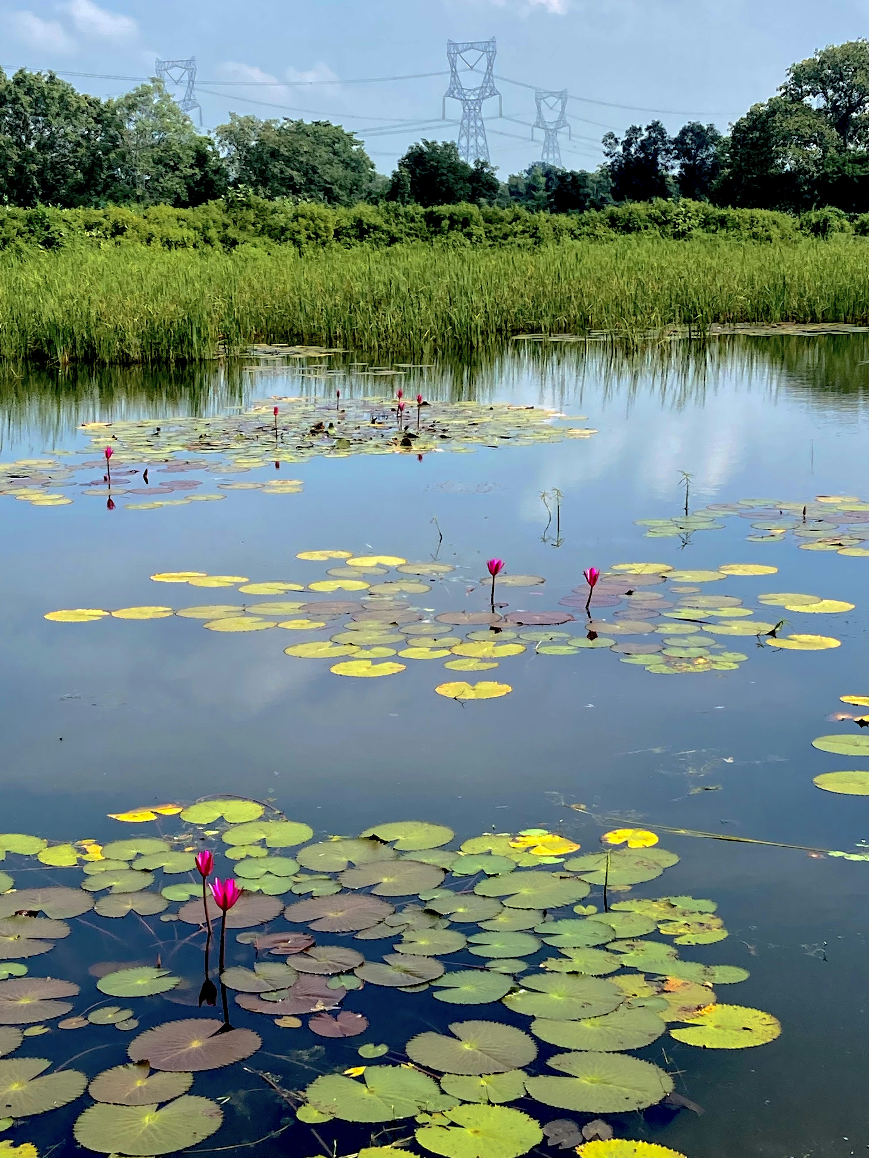 Photo by Rakesh singh with Apple iPhone SE