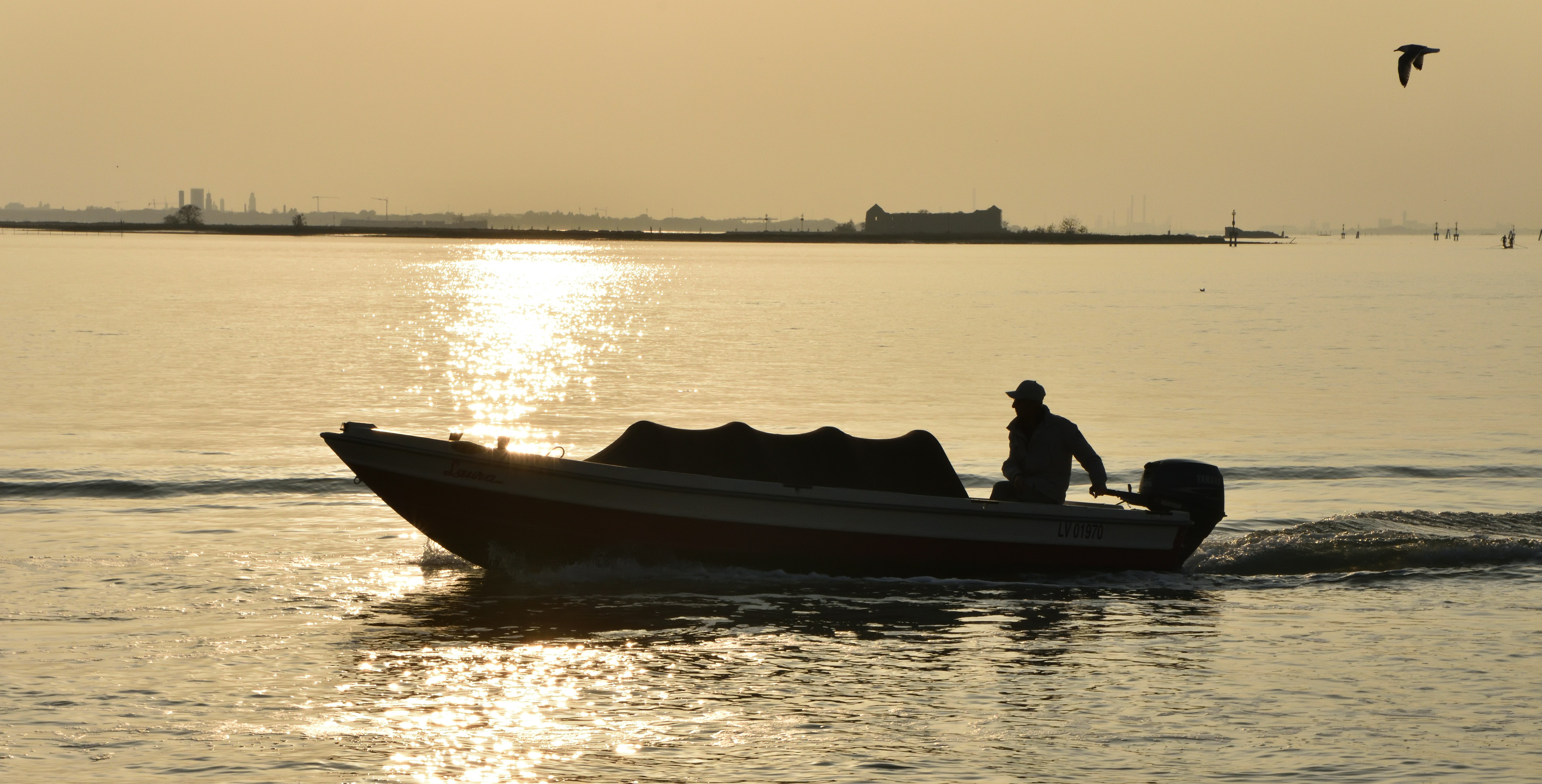 A lone fisherman navigates a tranquil waterway at dawn, with golden reflections shimmering on the surface. A bird soars above, adding a sense of life to the serene scene.