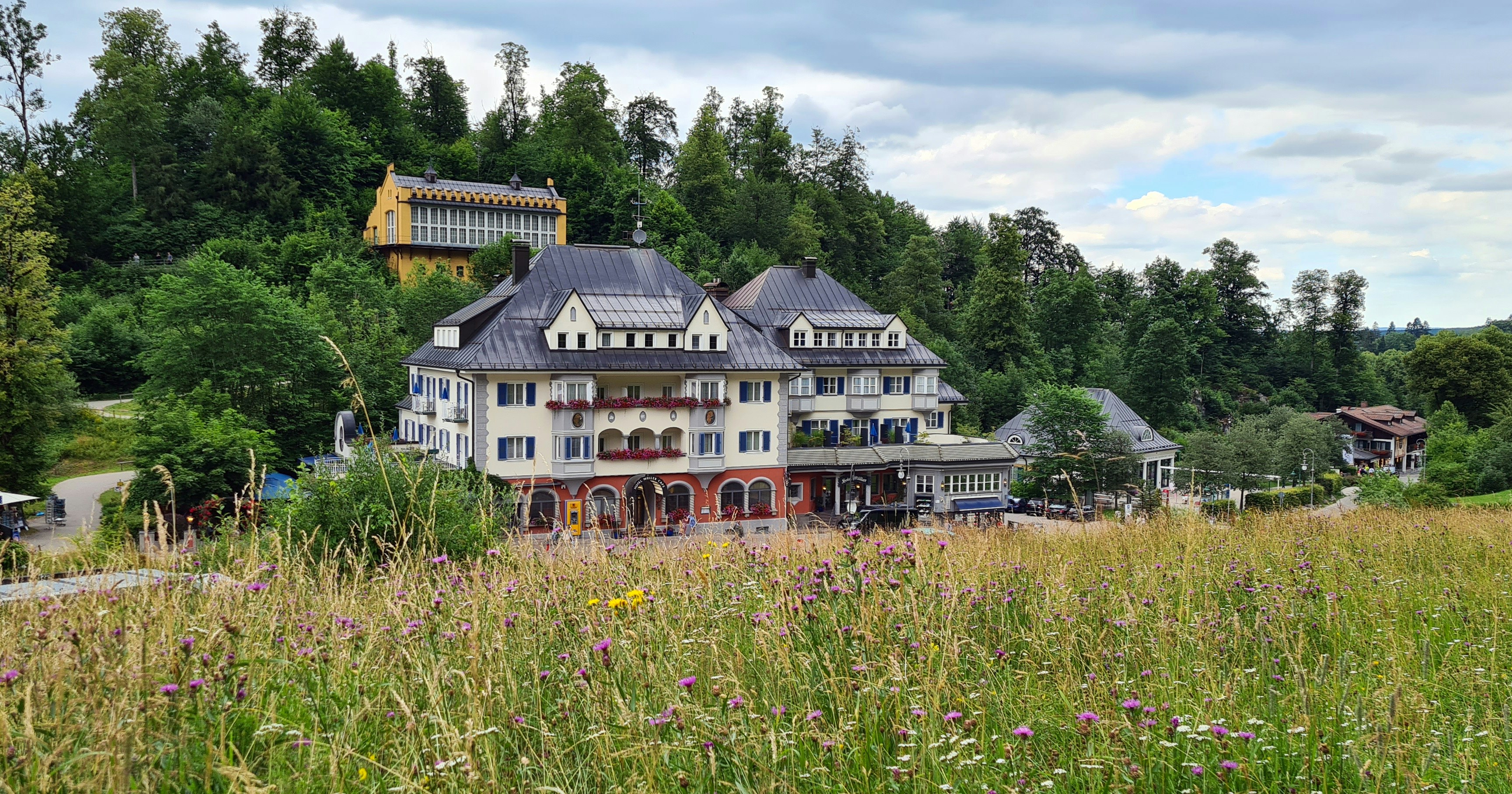 a large house with a garden in front of it