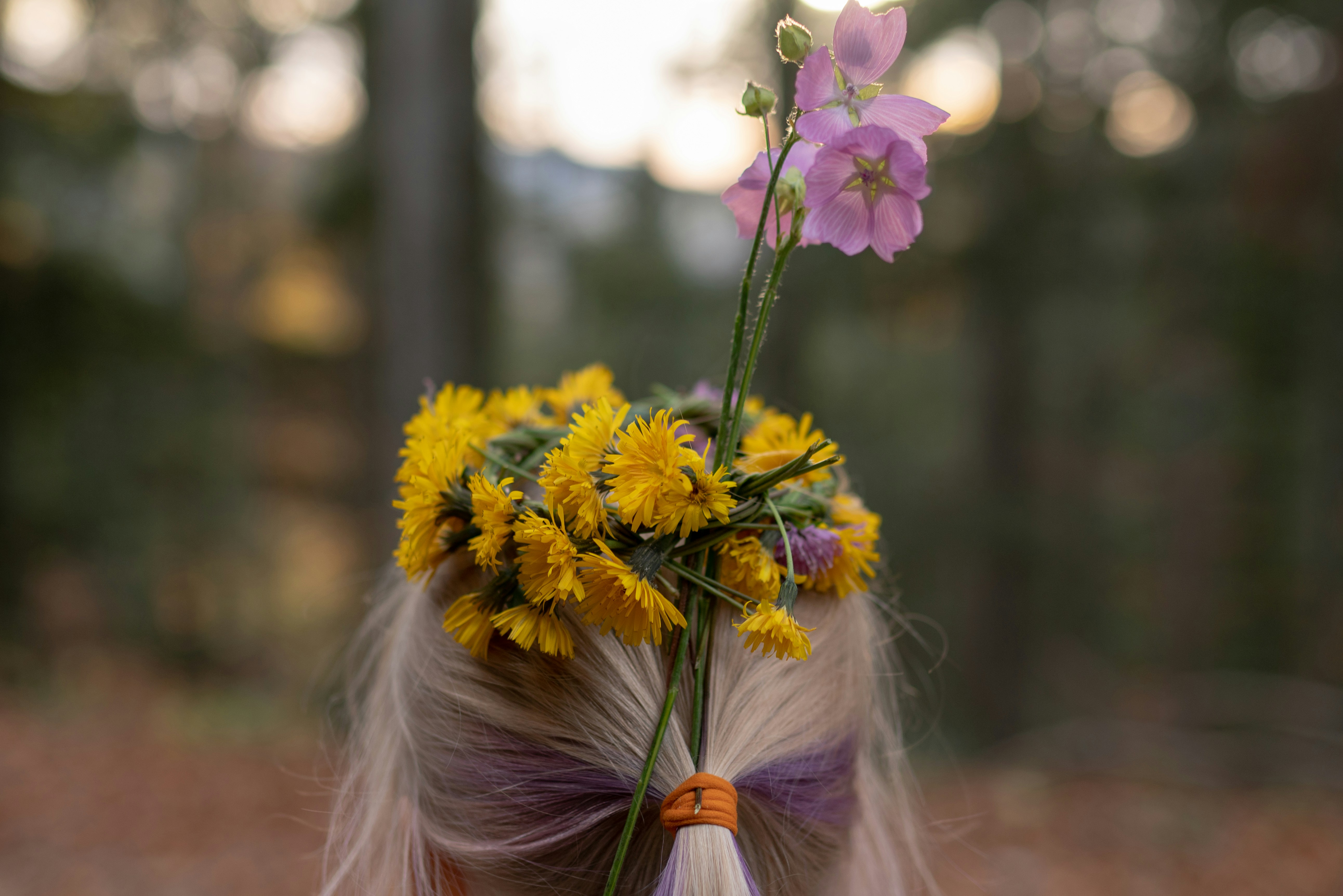 Daisy Crown in Quiet Backlight: Portrait From Behind