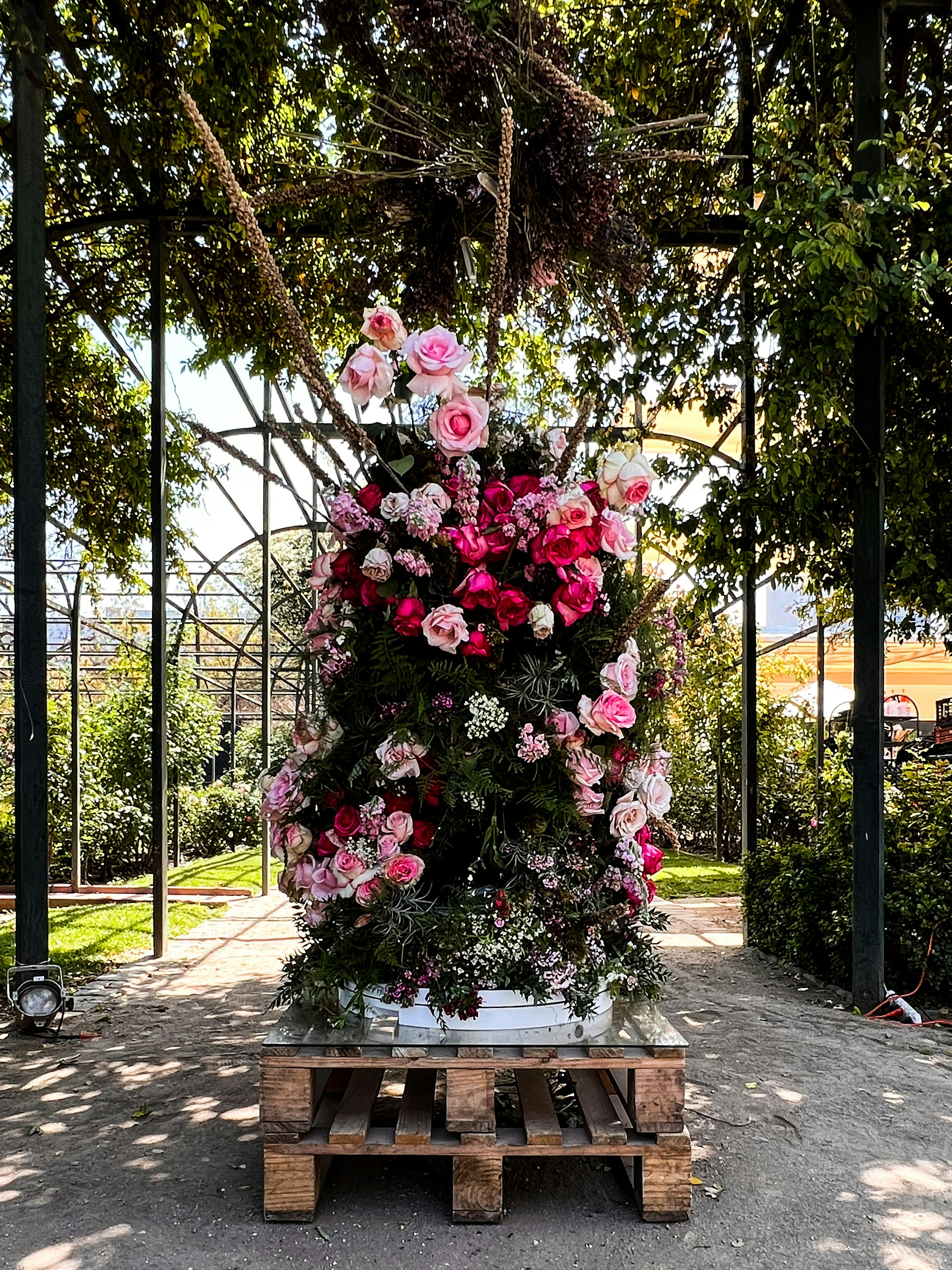 festival de la rosa 2022