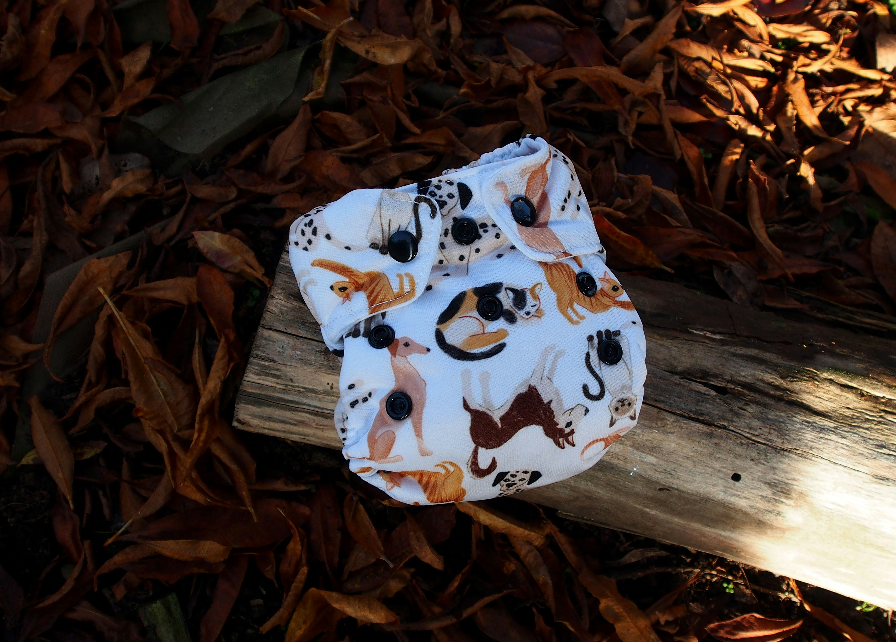 Nappy Pictures | Download Free Images on Unsplash