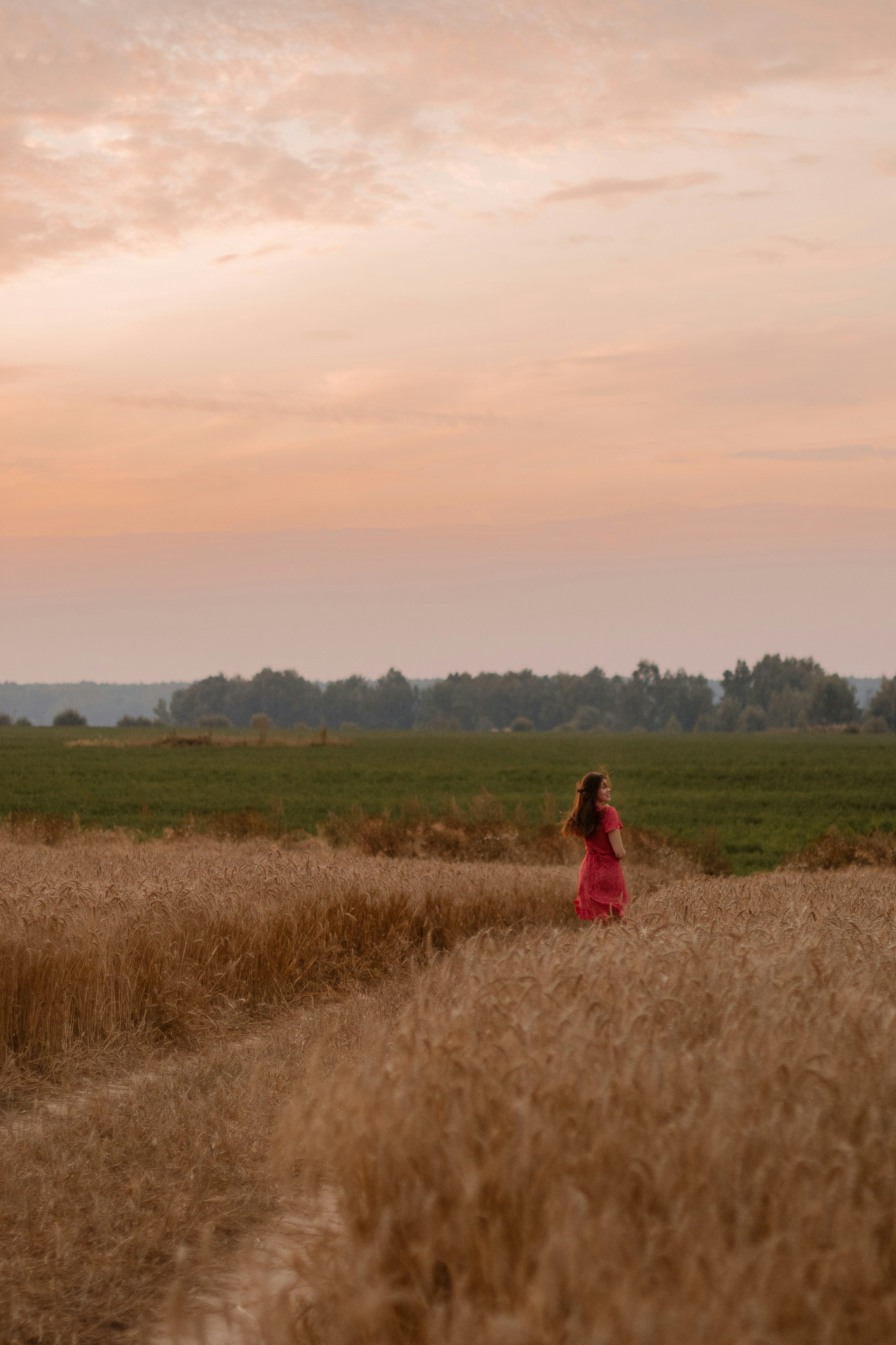 Crimson in the Rye: a lone figure threads the golden harvest at dusk