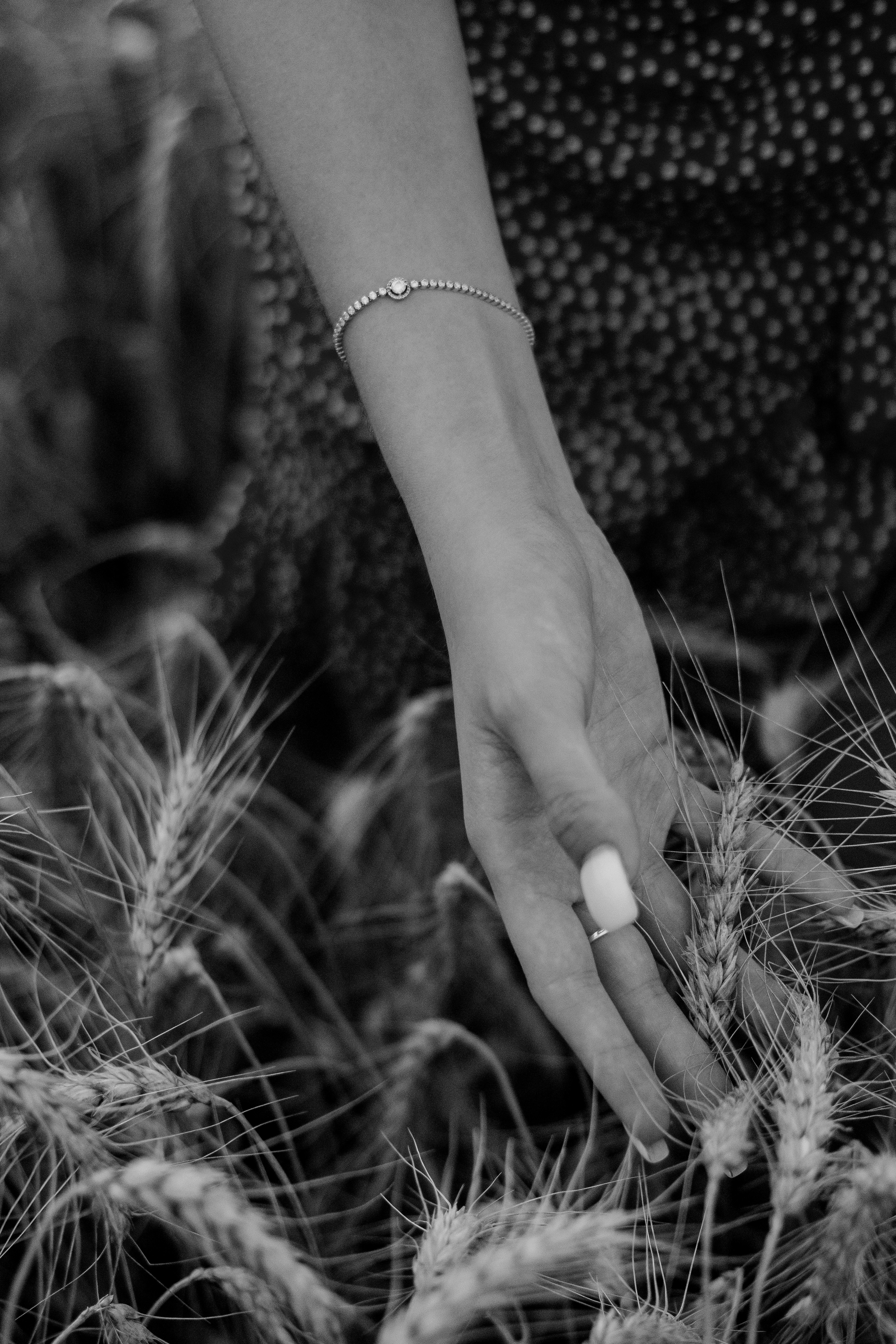 Photo by Irina Kurash with Canon EOS M50