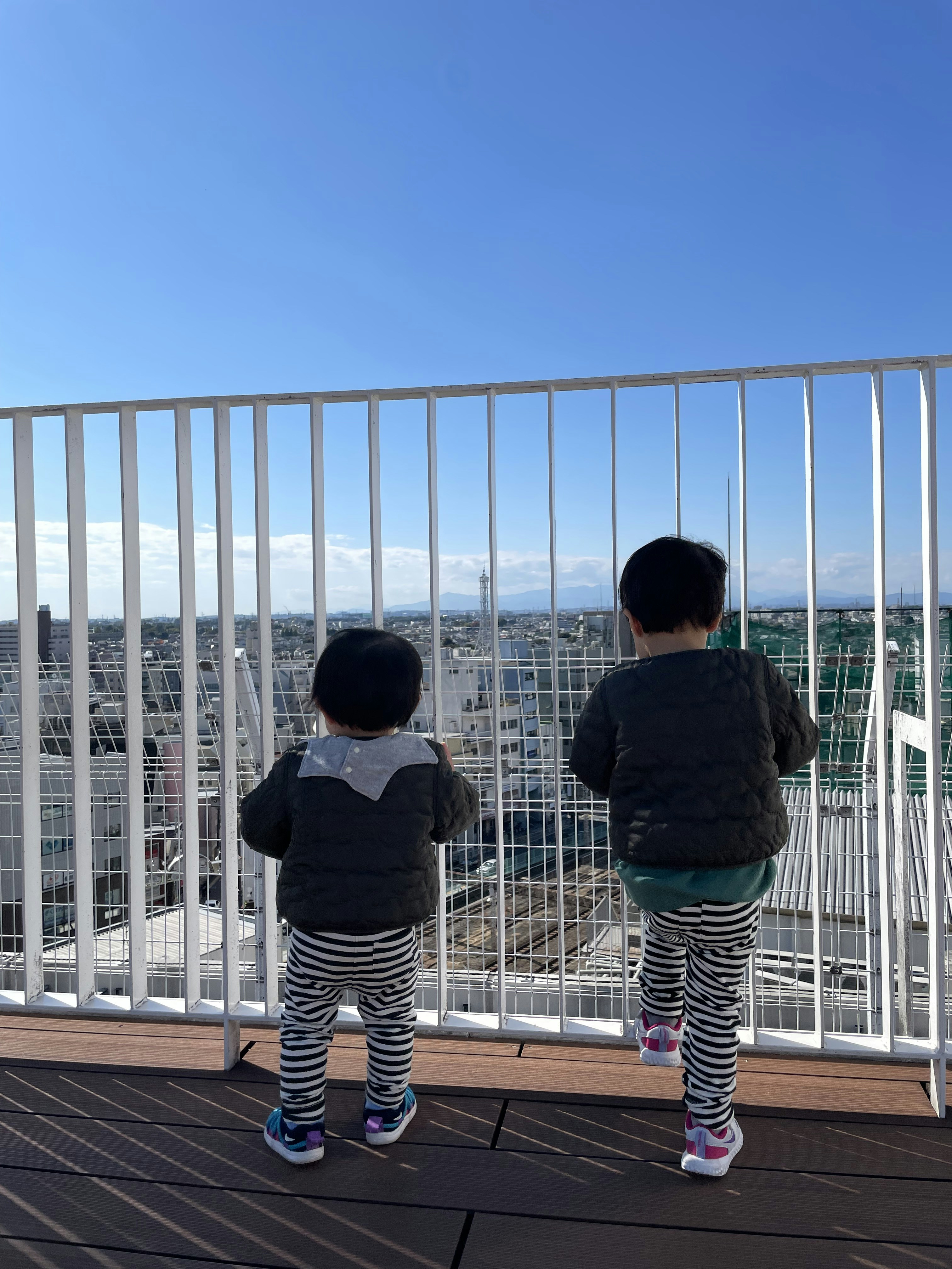 Rooftop Gaze: Twin Toddlers Overlook a Sprawling City