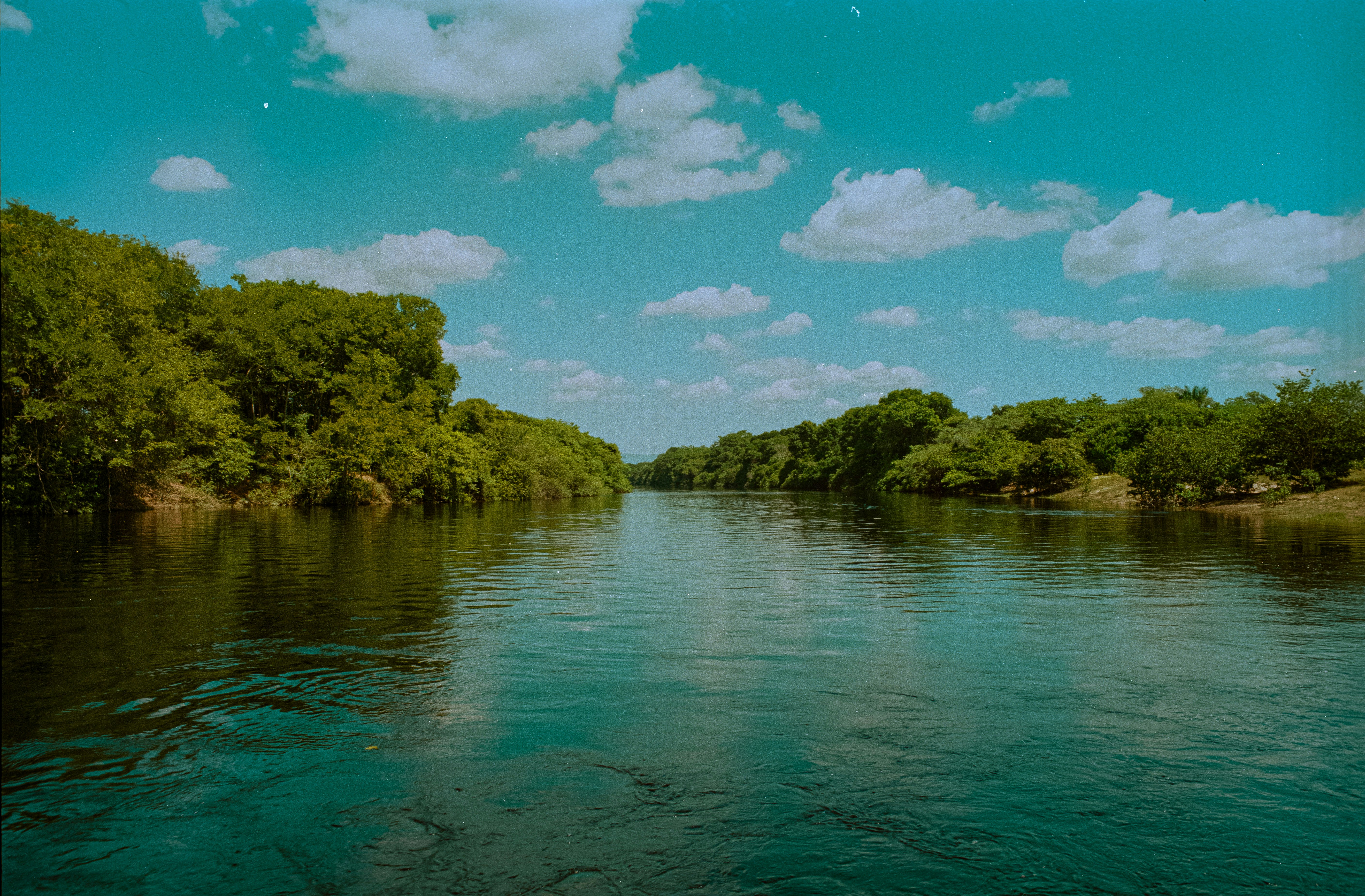 A tranquil river threads between mangrove banks beneath a vibrant turquoise sky. This colour photograph captures calm water and lush greenery along the banks.