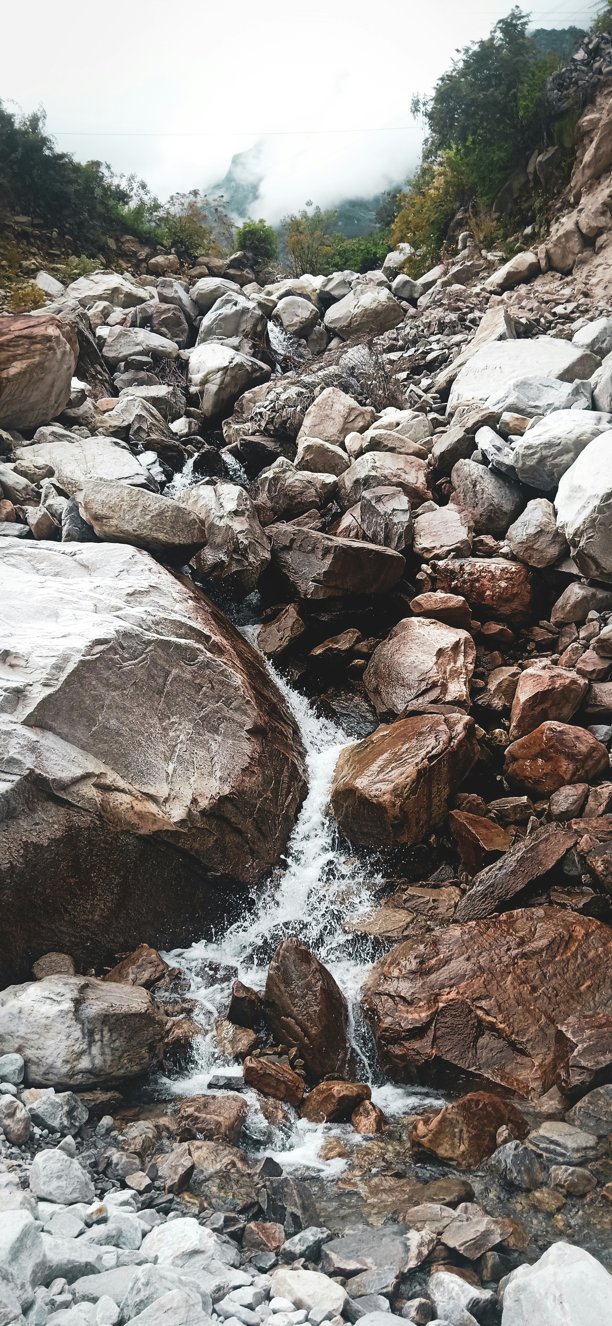 Une rivière avec des rochers et des arbres photo – Photo Uttarakhand ...