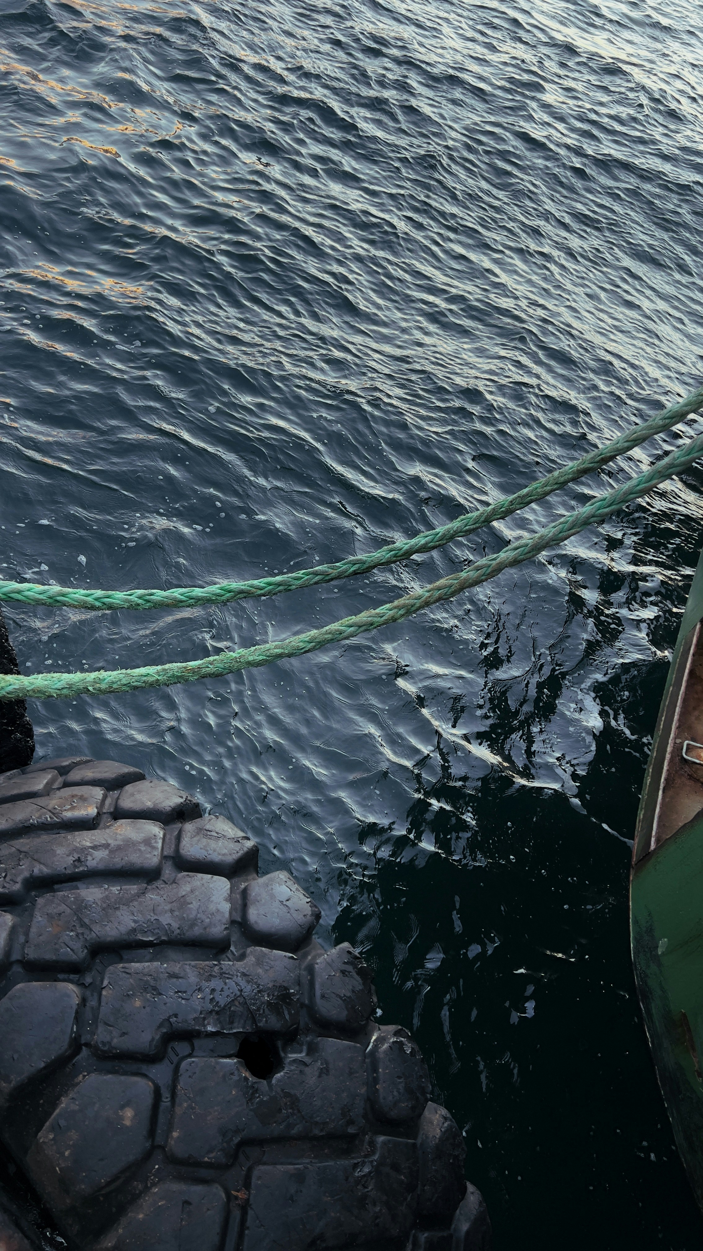 A fishing line in the water photo – Free Water Image on Unsplash