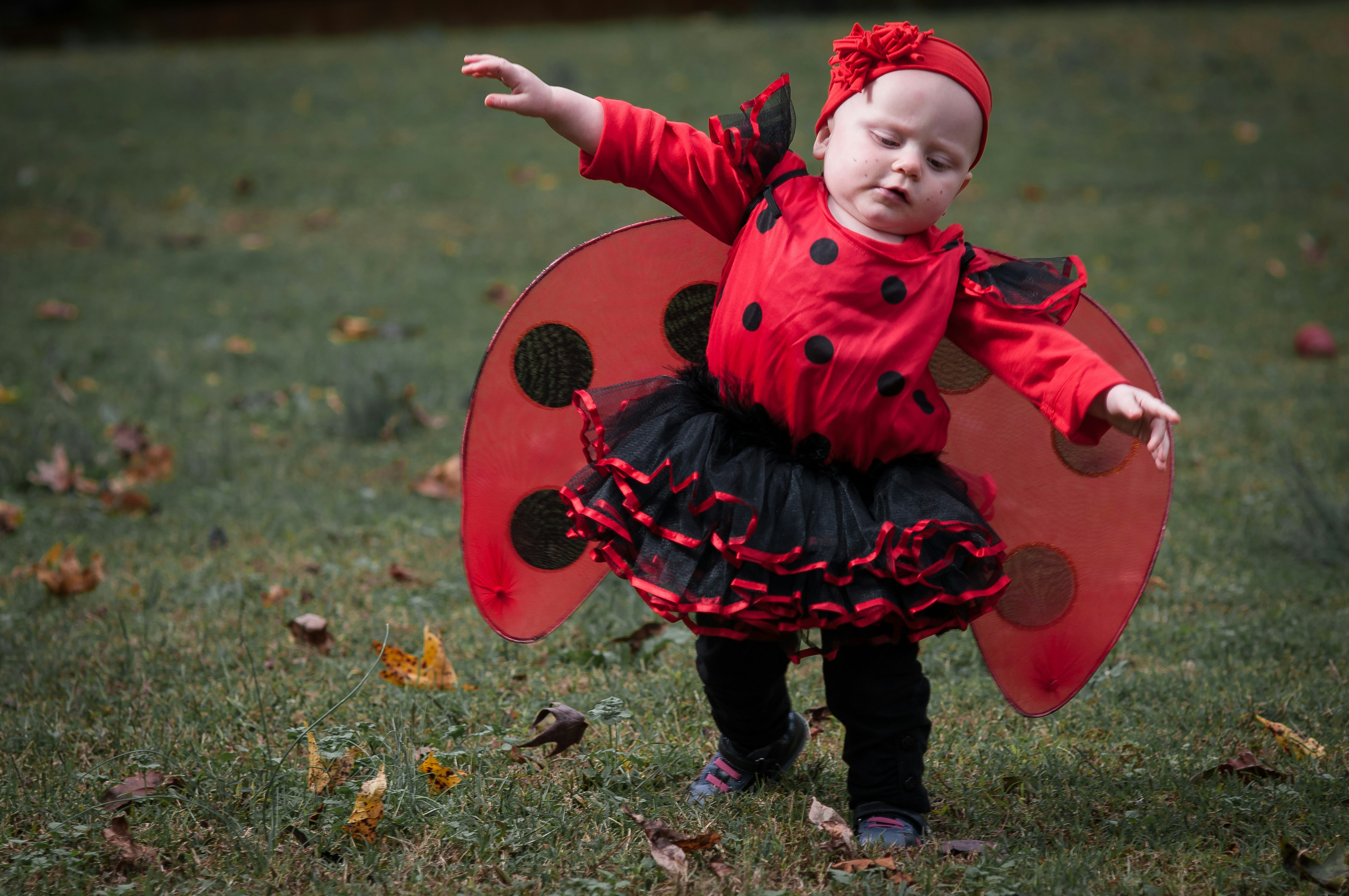 Autumn Whirl: A Tiny Ladybug Dancer Spins Across the Grass