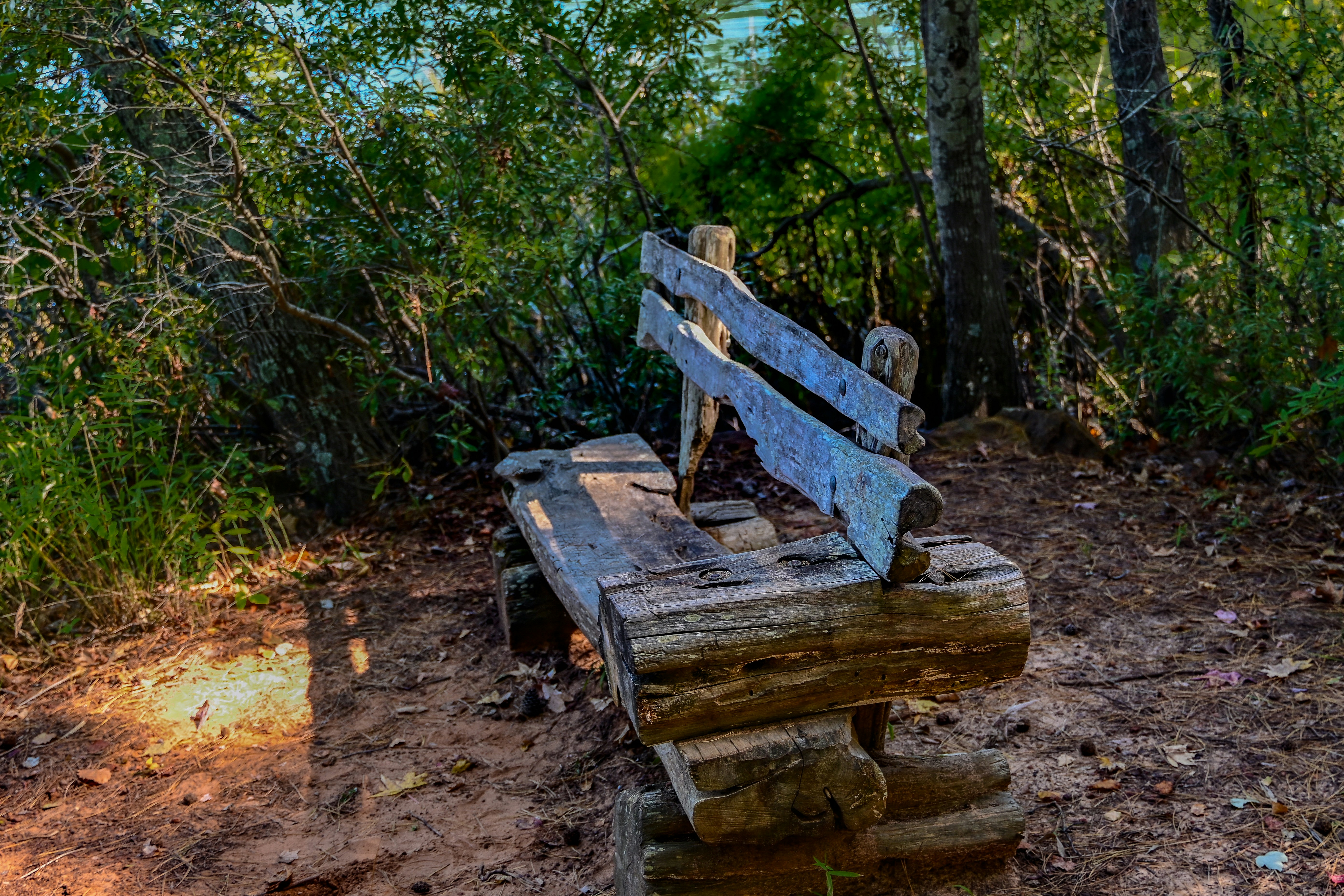 A couple of wooden benches sit in a park photo – Free Tyler state park ...