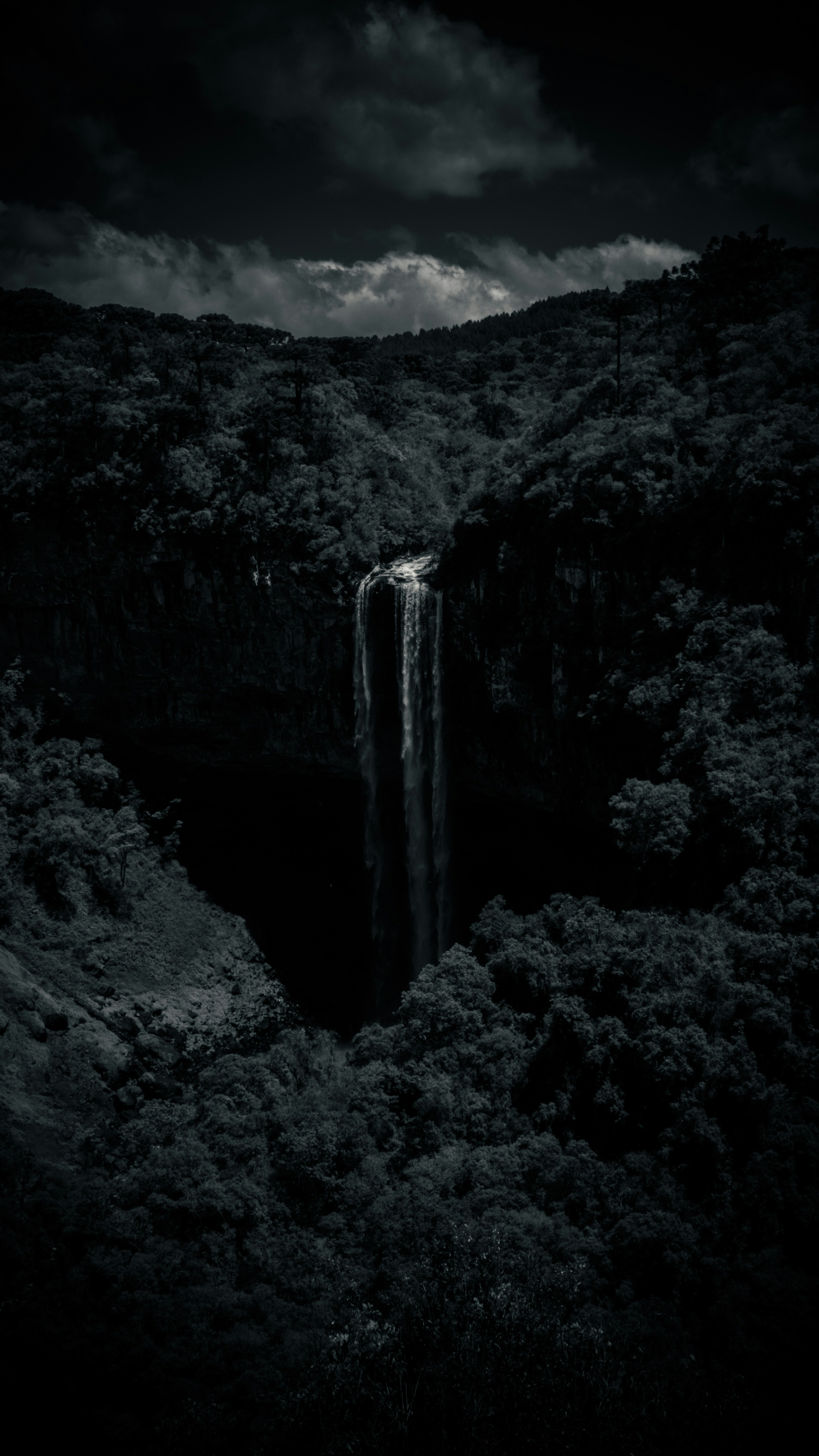 Moonlit Cascade in the Woodland Abyss