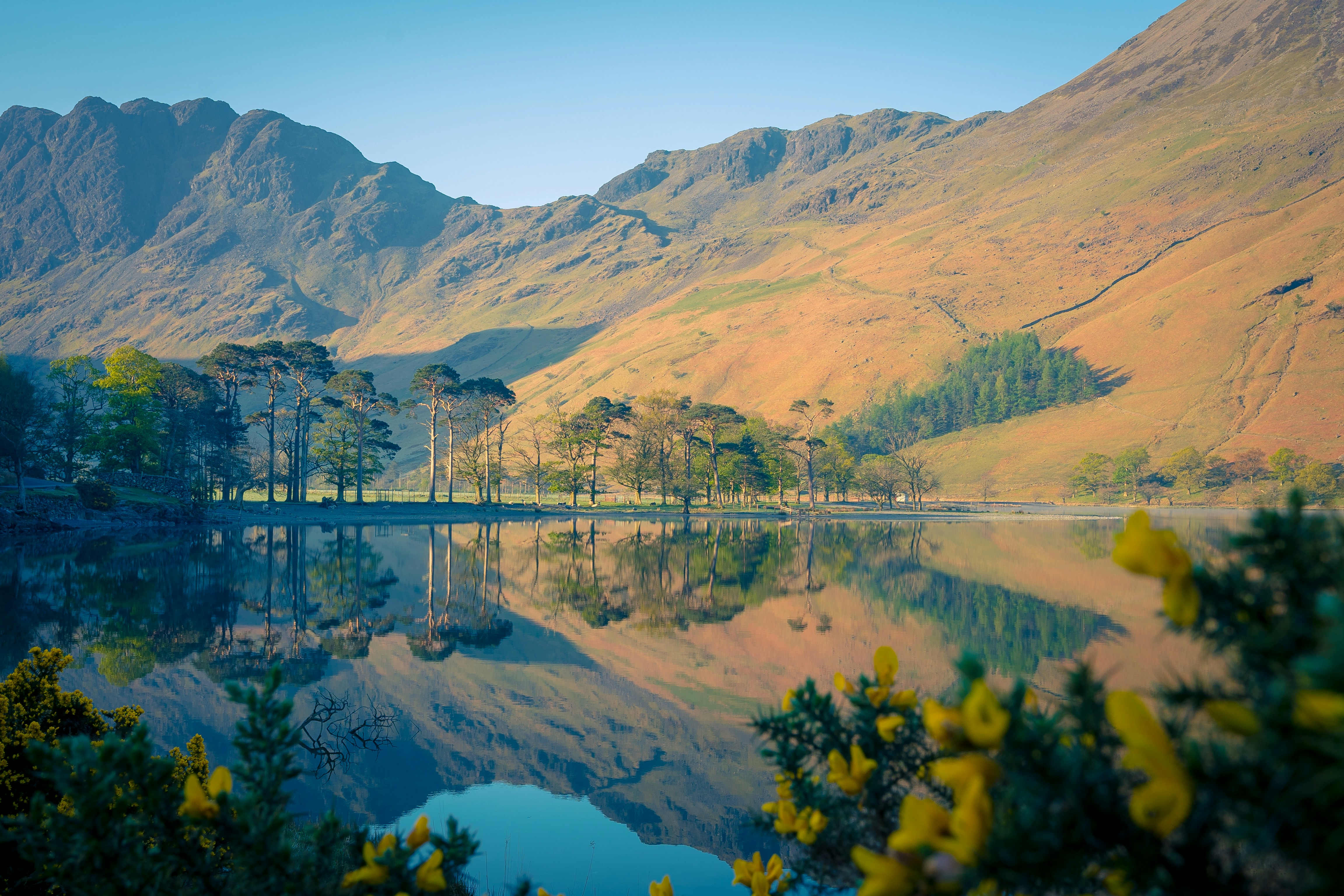 A bridge over a river photo – Free Buttermere Image on Unsplash