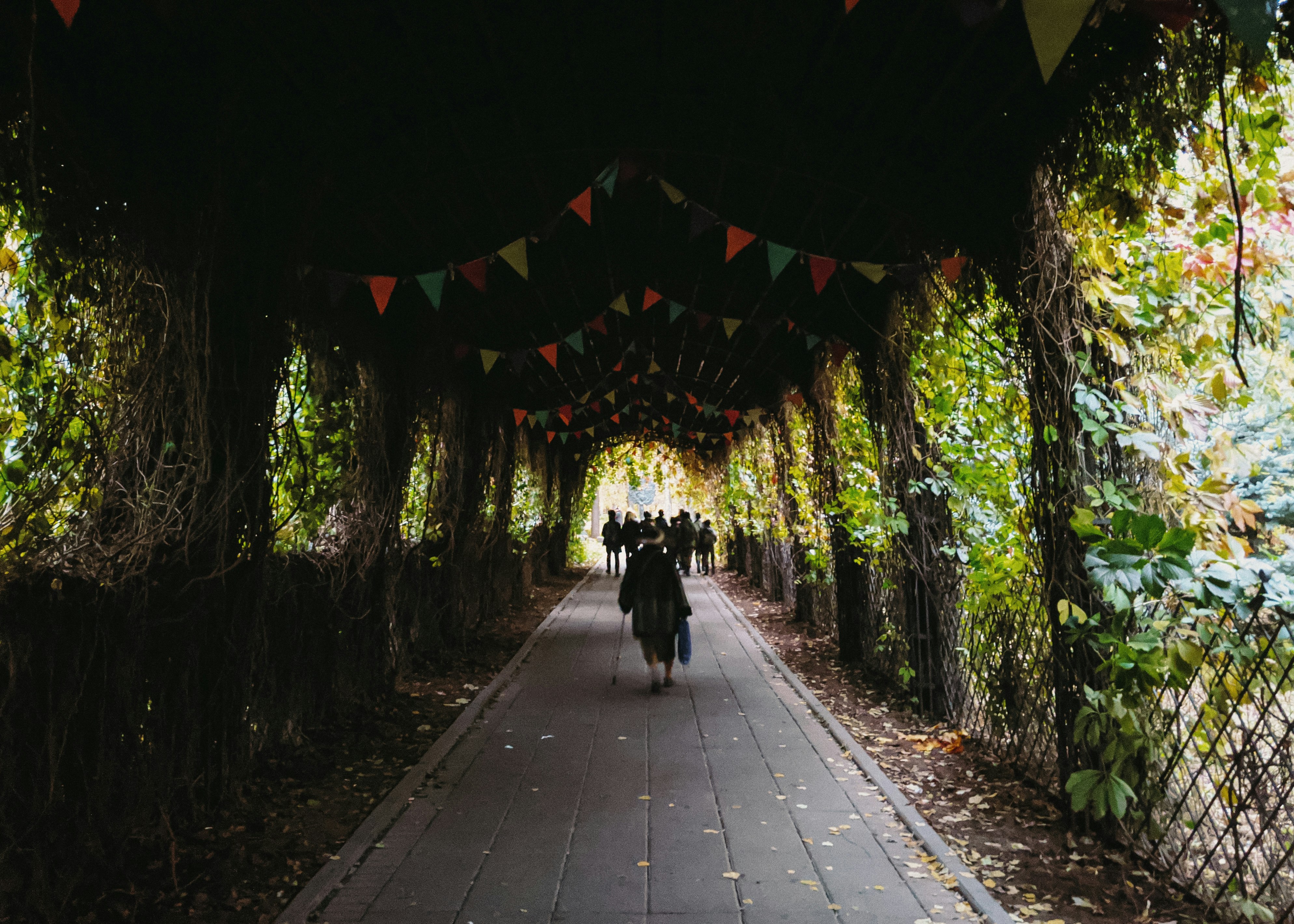 Verdant Archway Walk: Pedestrians Thread the Tunnel Toward Daylight