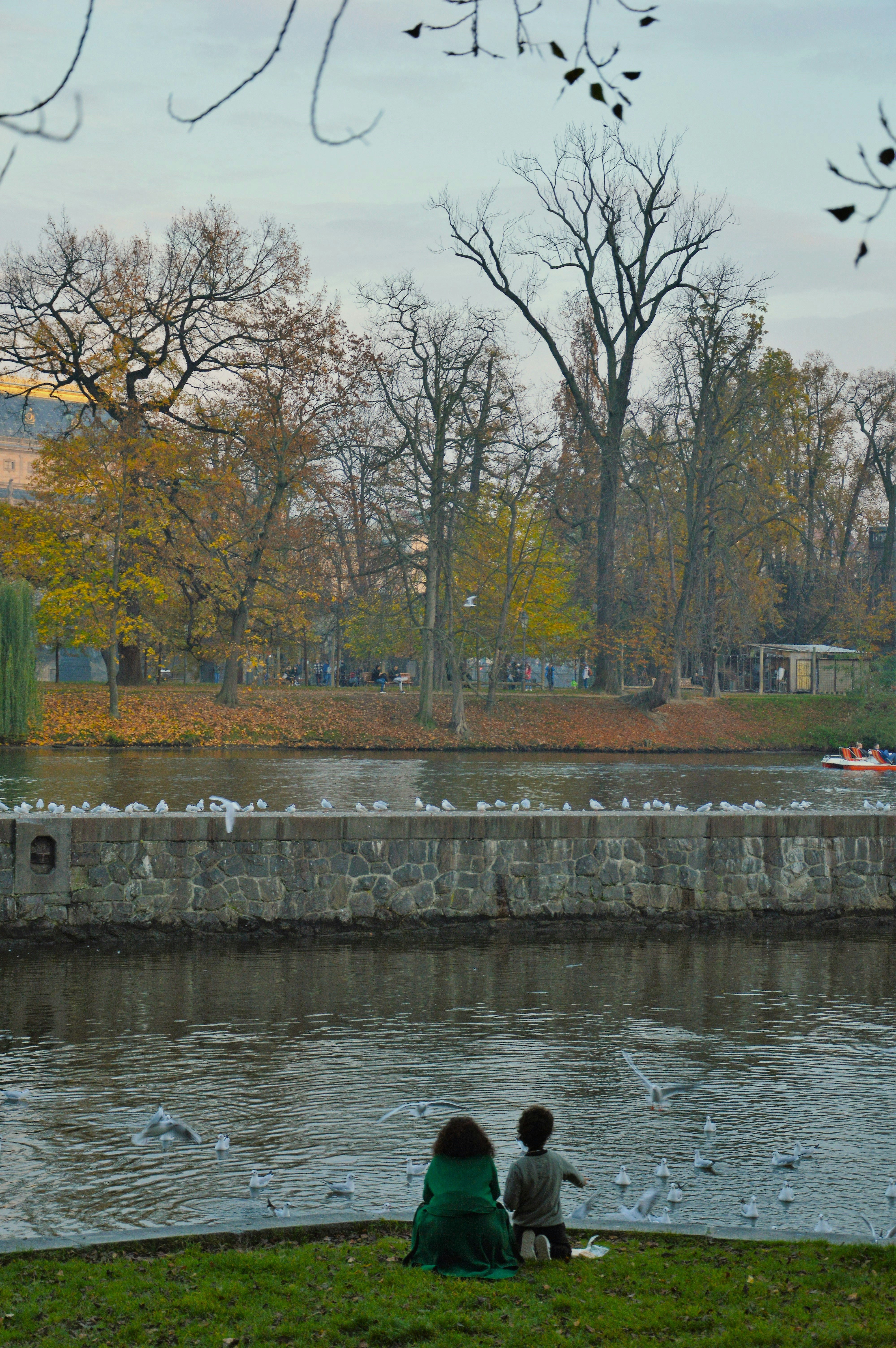 Autumn Riverbank Moment: Quiet Companions Beneath Seagulls and Swaying Trees