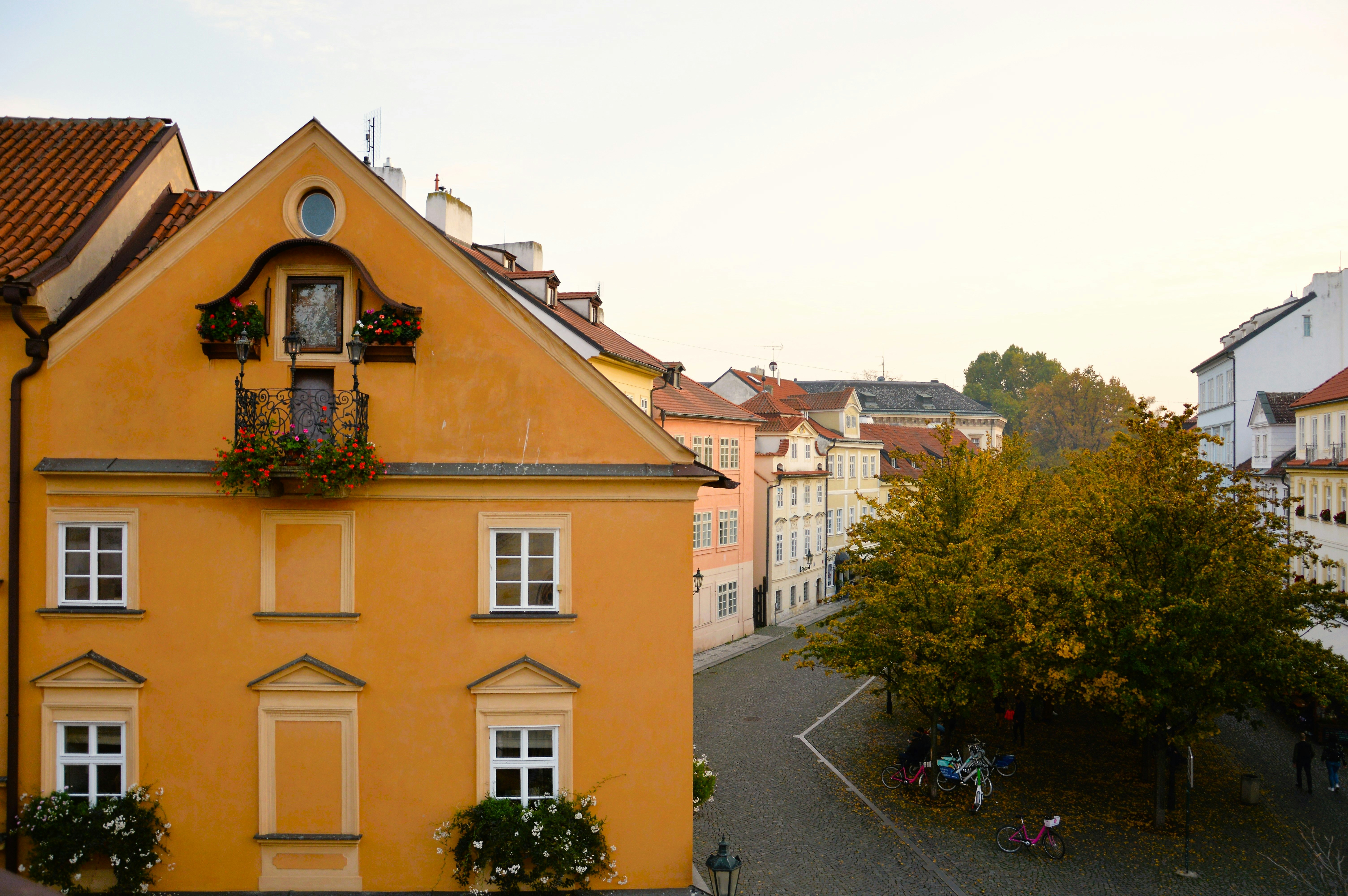 Autumn Street in Ochre Facades
