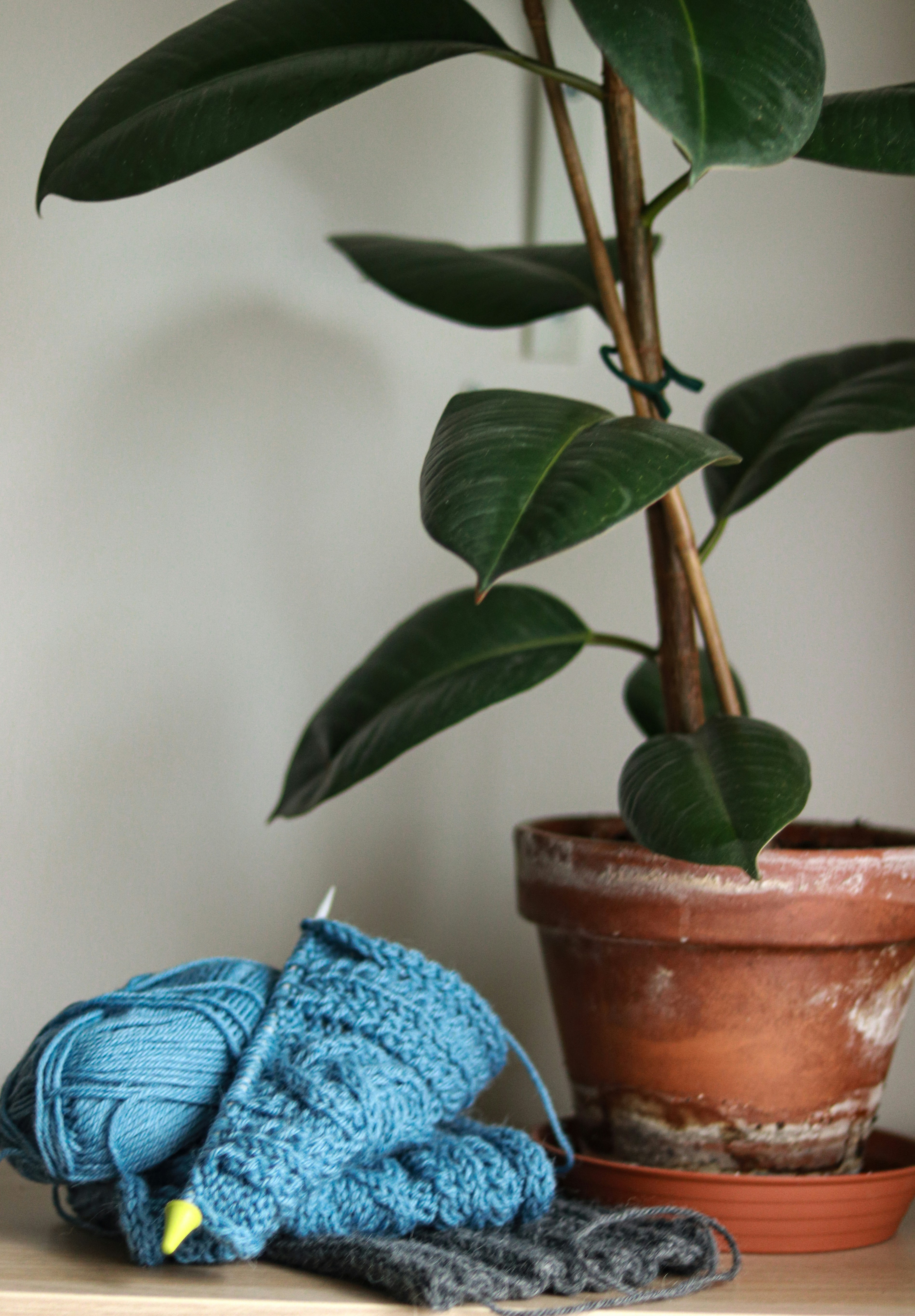 Photo by Anastassiya Karfik with Canon EOS 200D