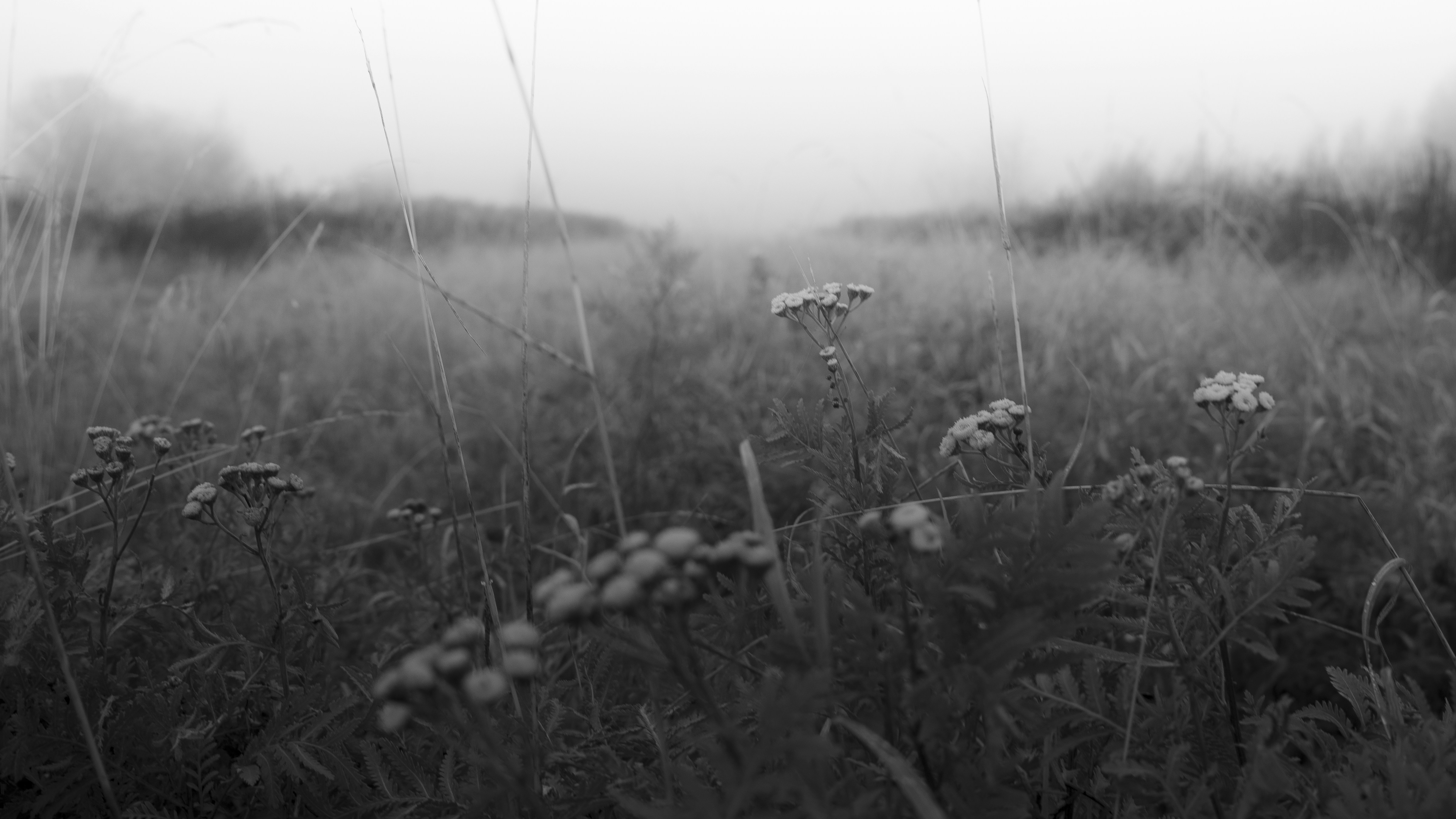 Photo by Hubert Buratynski with Sony Alpha 6400