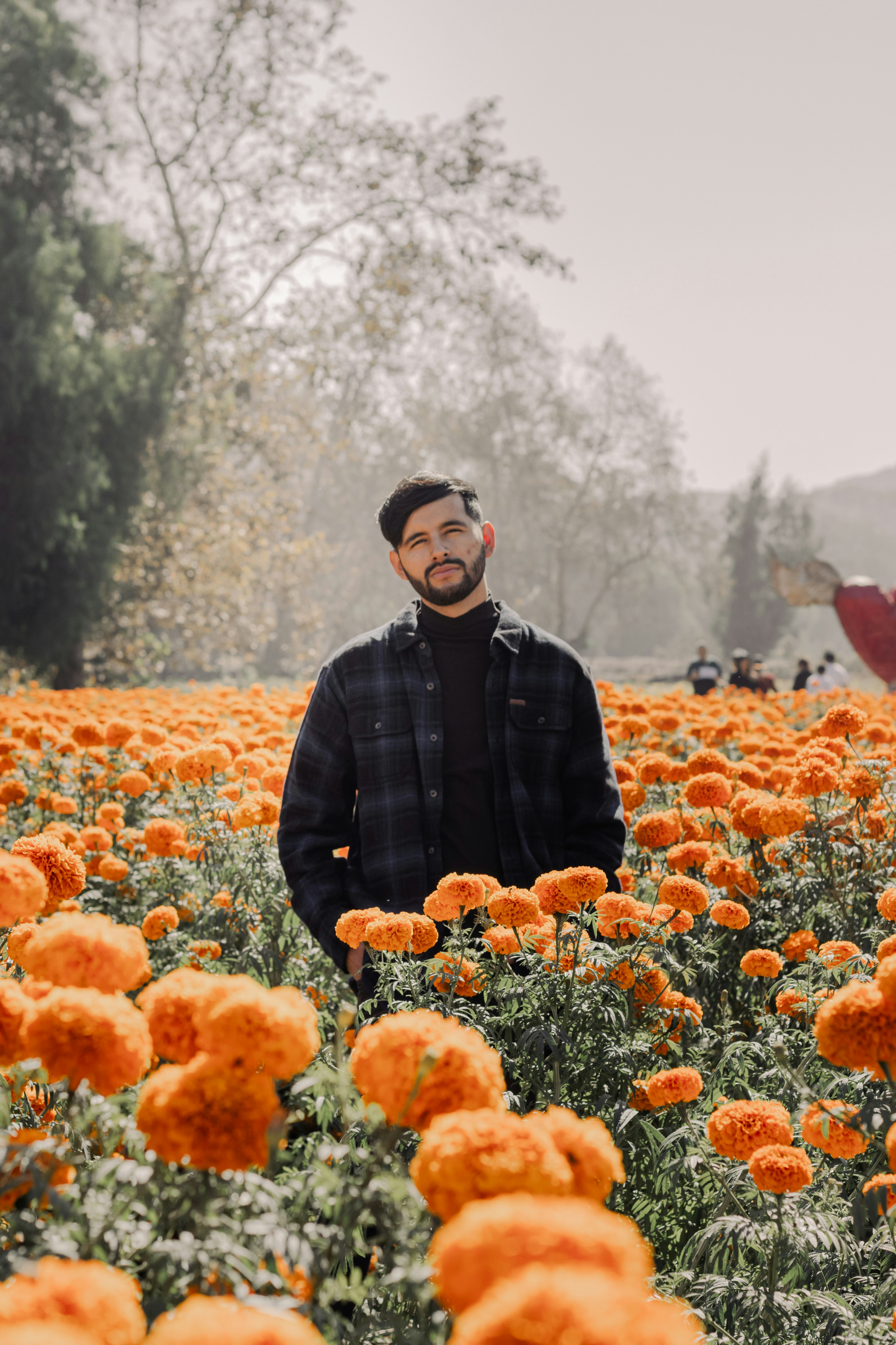 a man standing in a field of orange flowers