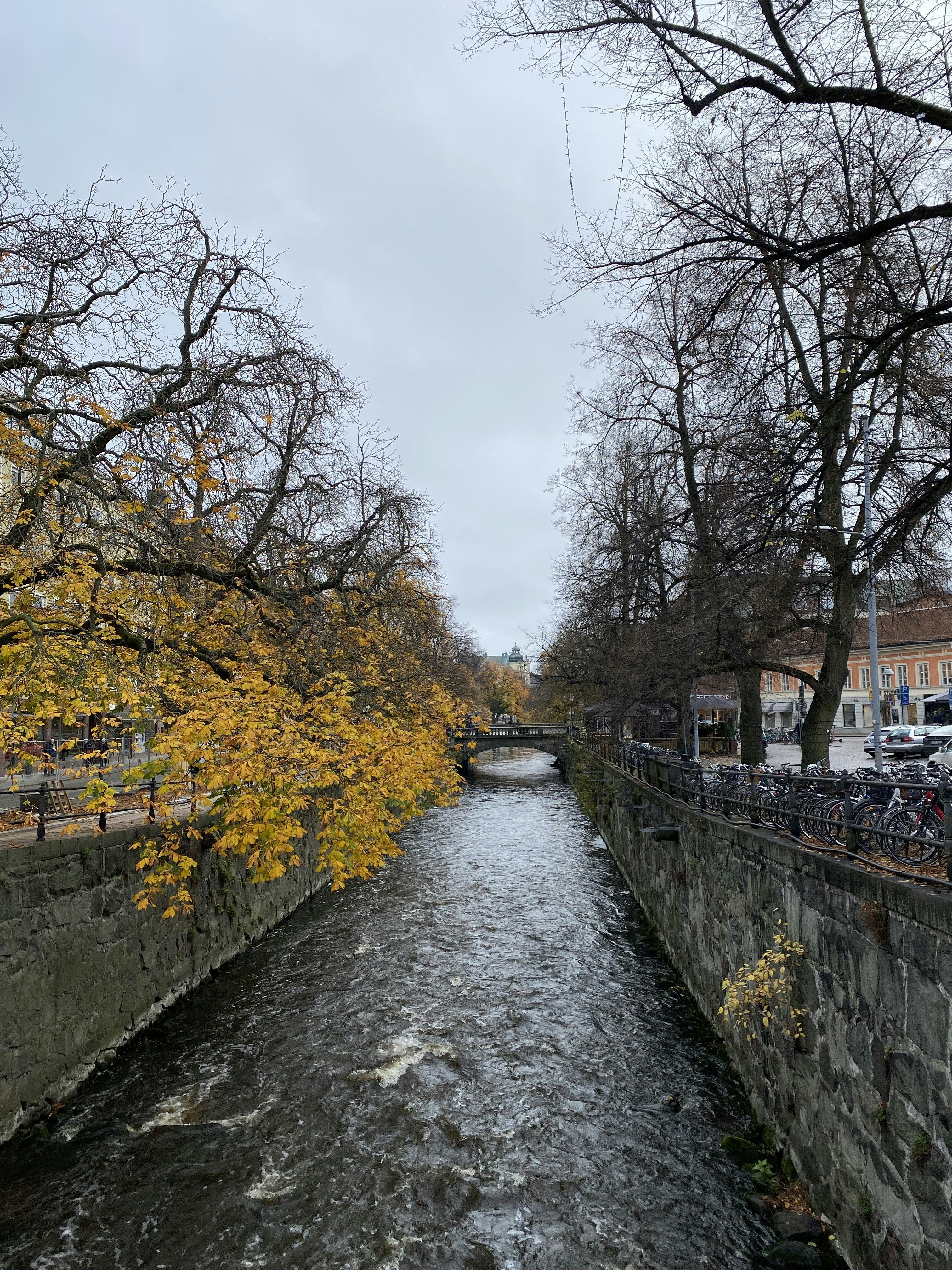 a river with a bridge and trees on either side of it