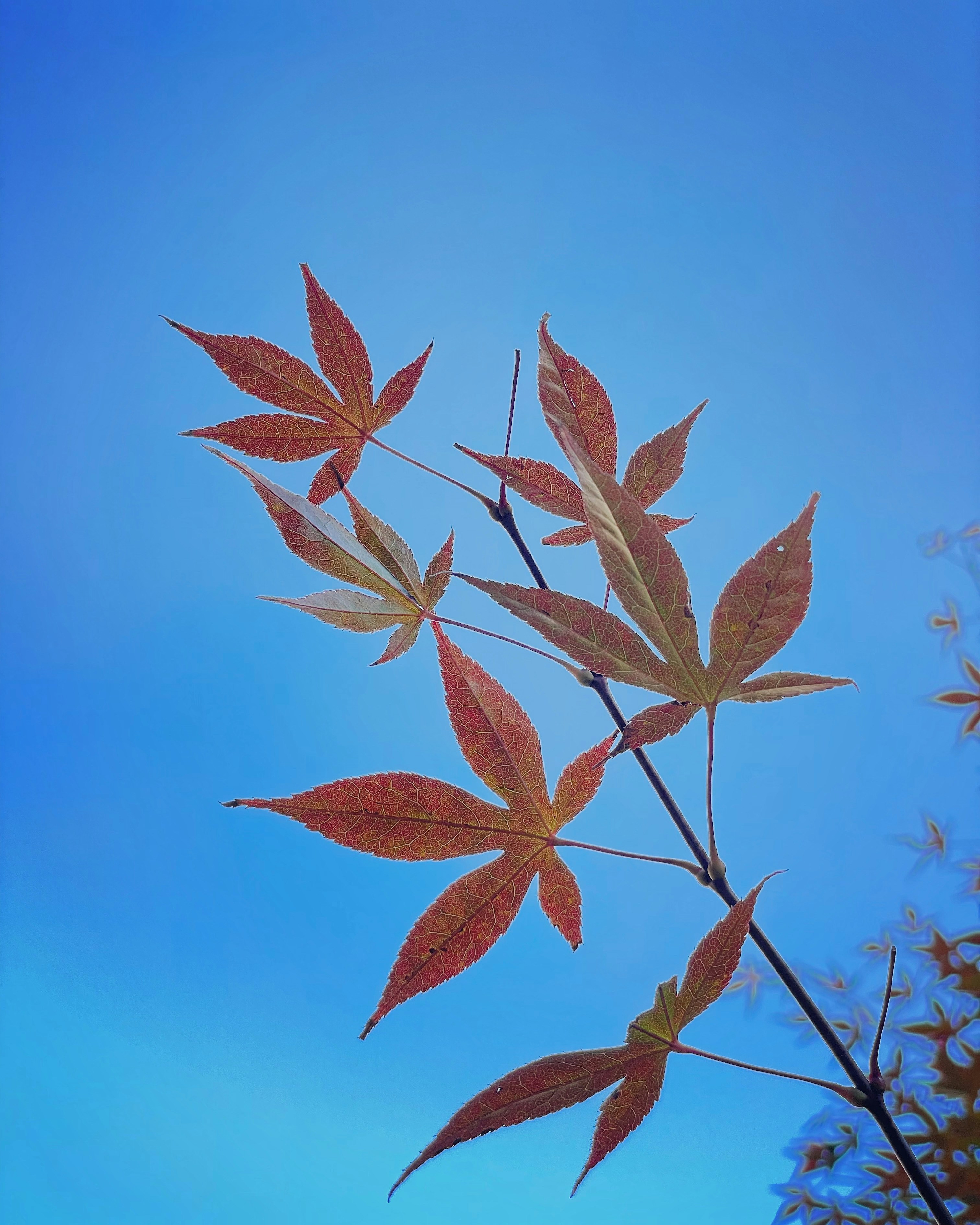 Youtube Thumbnail Background Pictures | Download Free Images on Unsplash