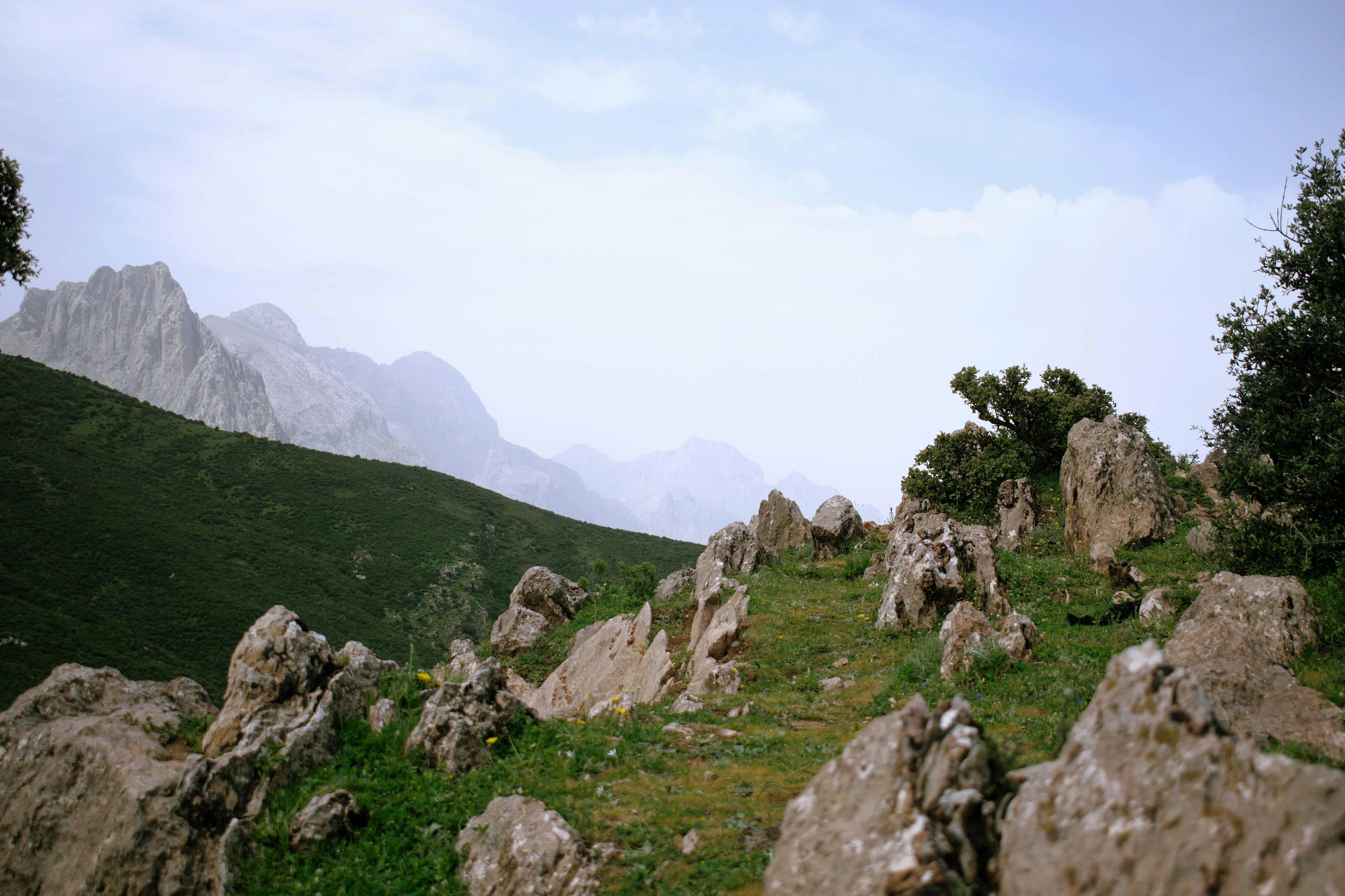 Una ladera rocosa con árboles y montañas al fondo foto – Imagen de Loma ...