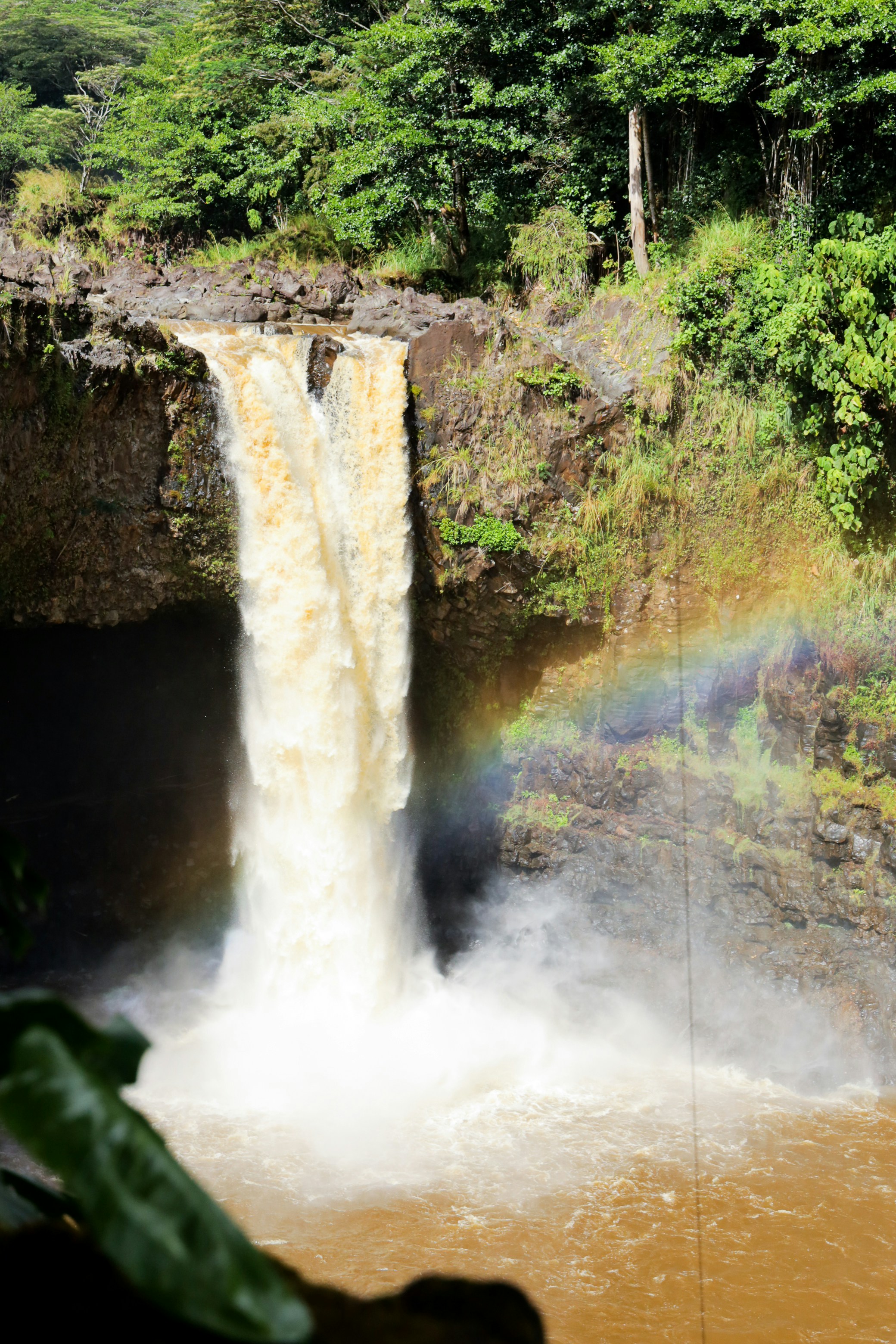 Ryan Hatanaka (@rhatanaka) | Comunidade de fotos da Unsplash