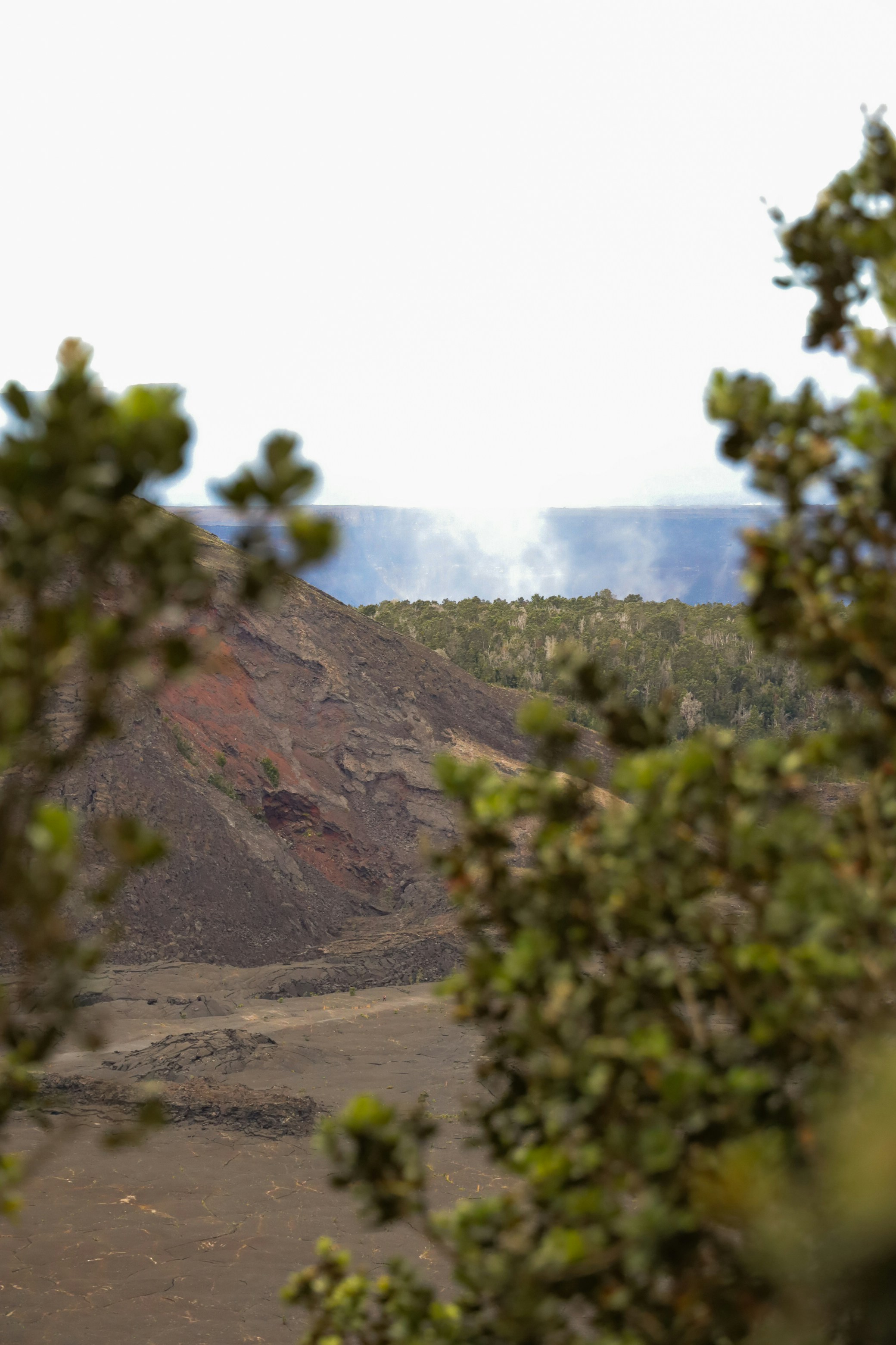 Ryan Hatanaka (@rhatanaka) | Komunitas Foto Unsplash