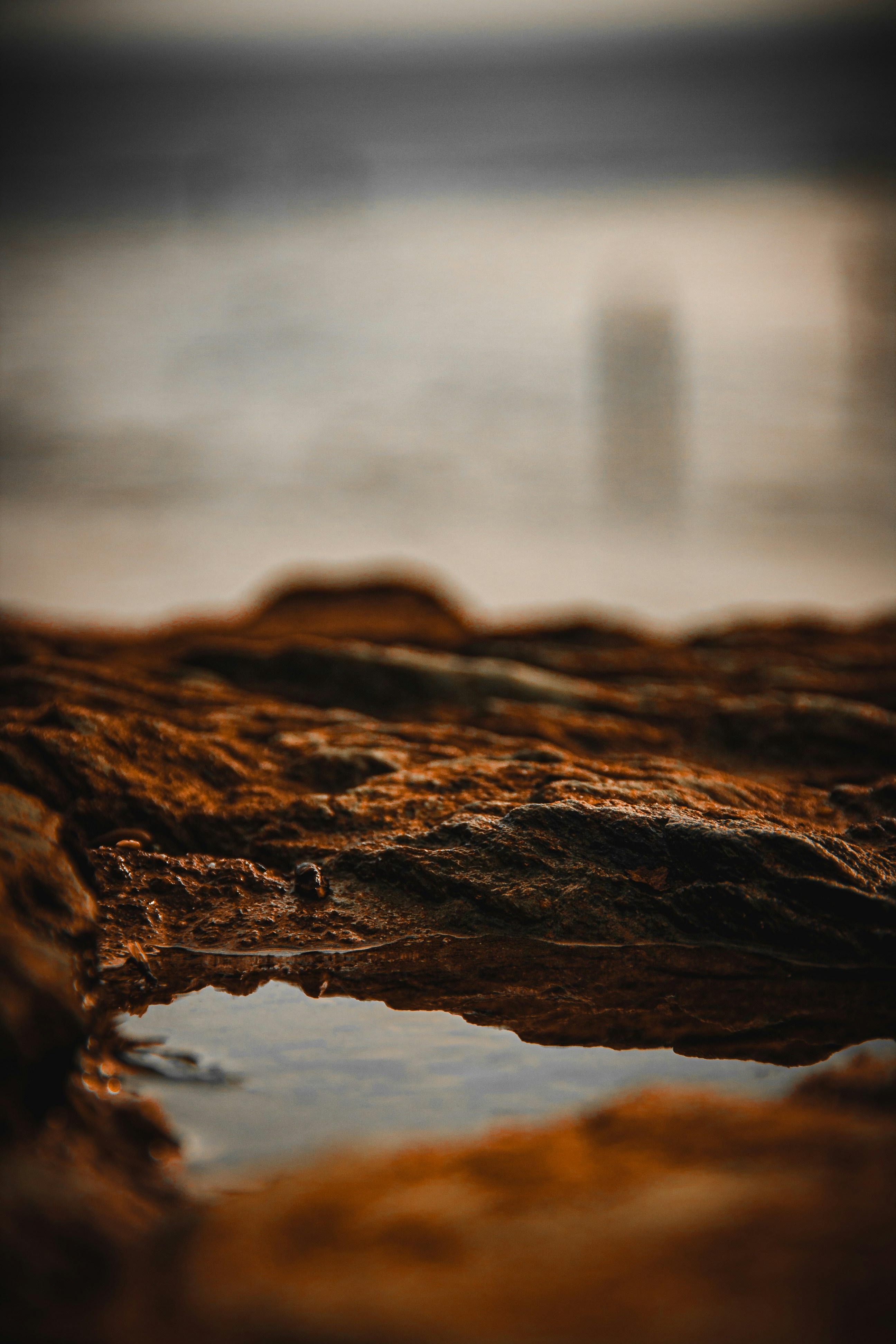 Rusted shoreline in warm evening light