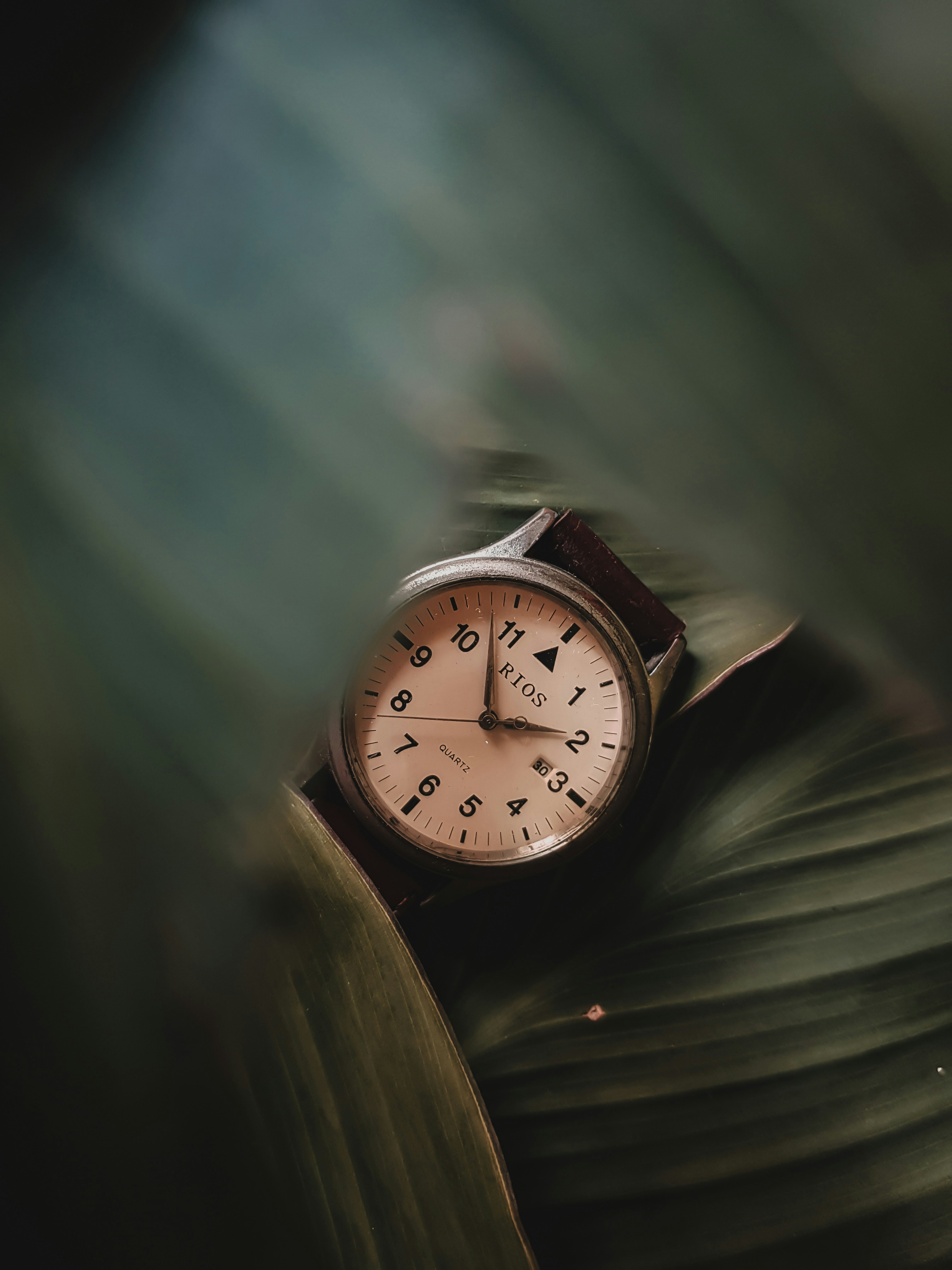 750+ Watch Pictures | Download Free Images on Unsplash