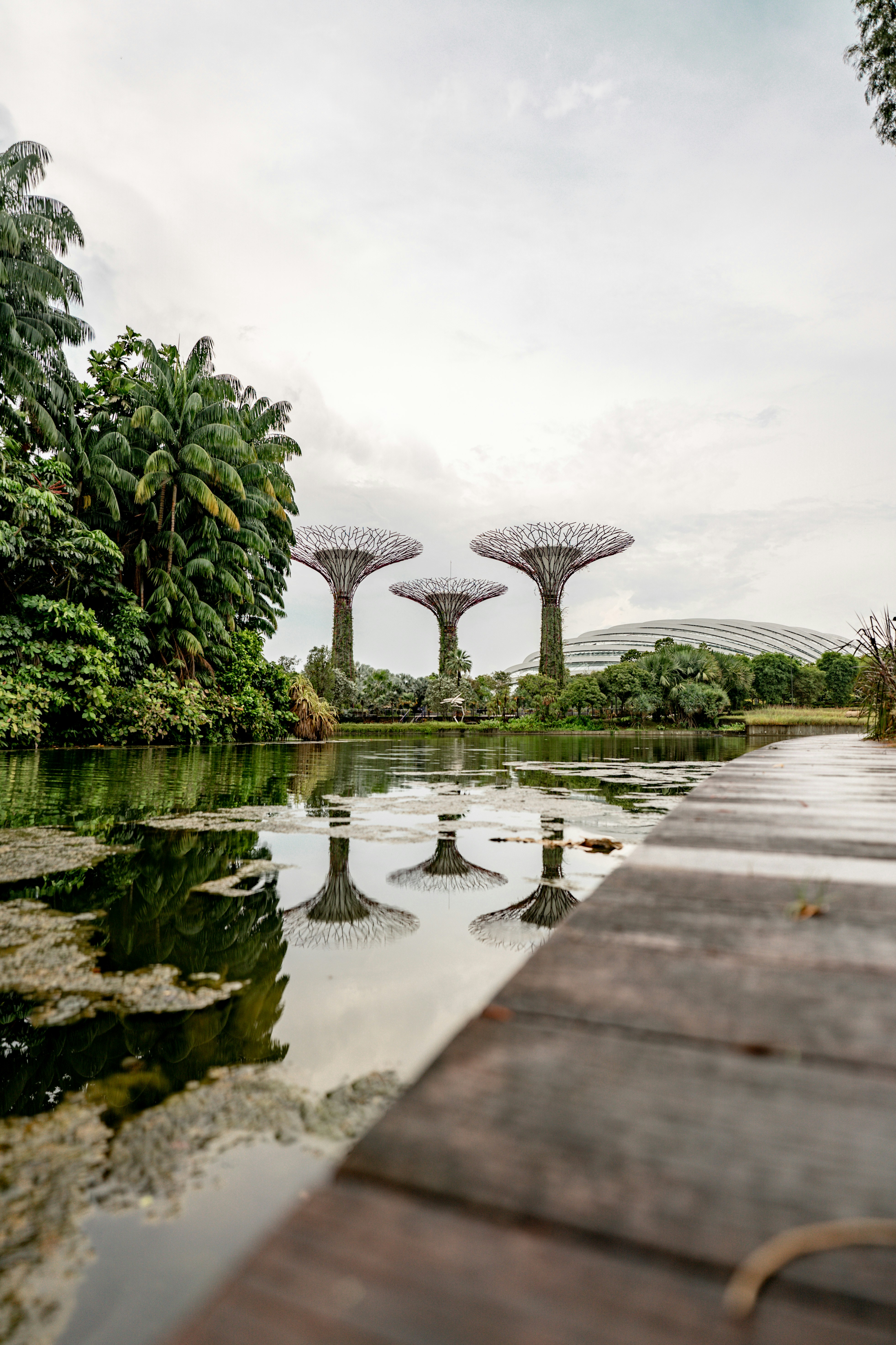 Walk in the garden lake