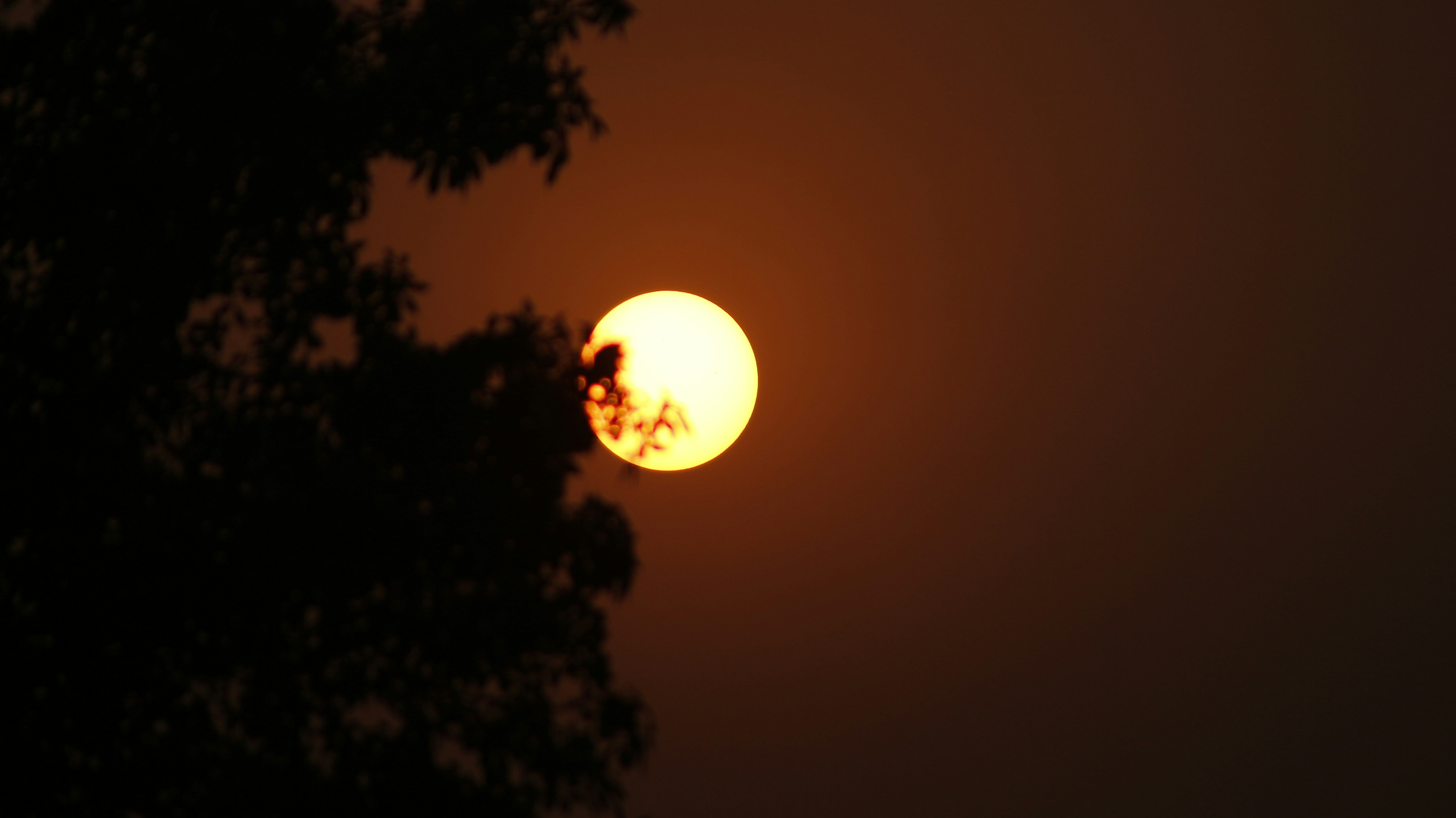 a full moon in the sky