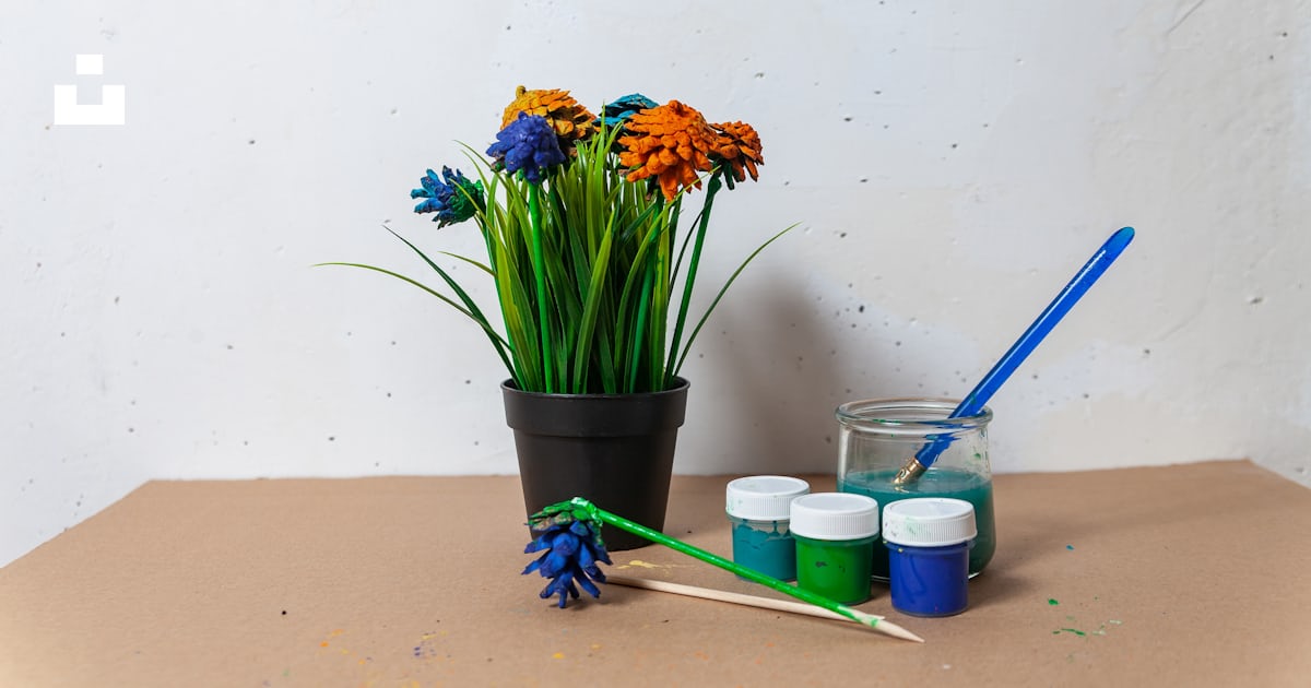 花を持つ鉢植えの植物の写真 Unsplashの植物の無料画像