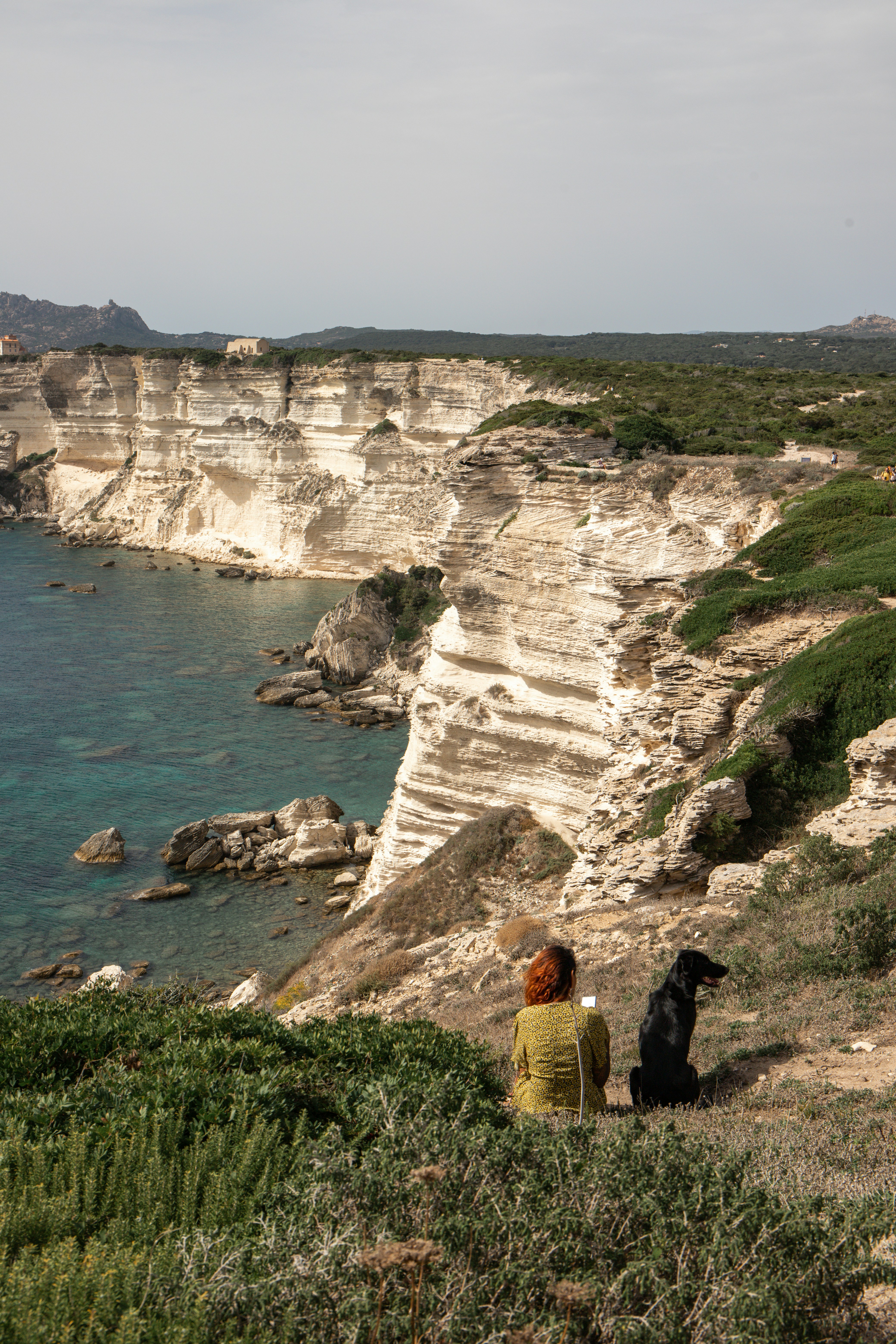 Mustard Jacket at the Cliff's Edge with a Black Dog Over Turquoise Waters
