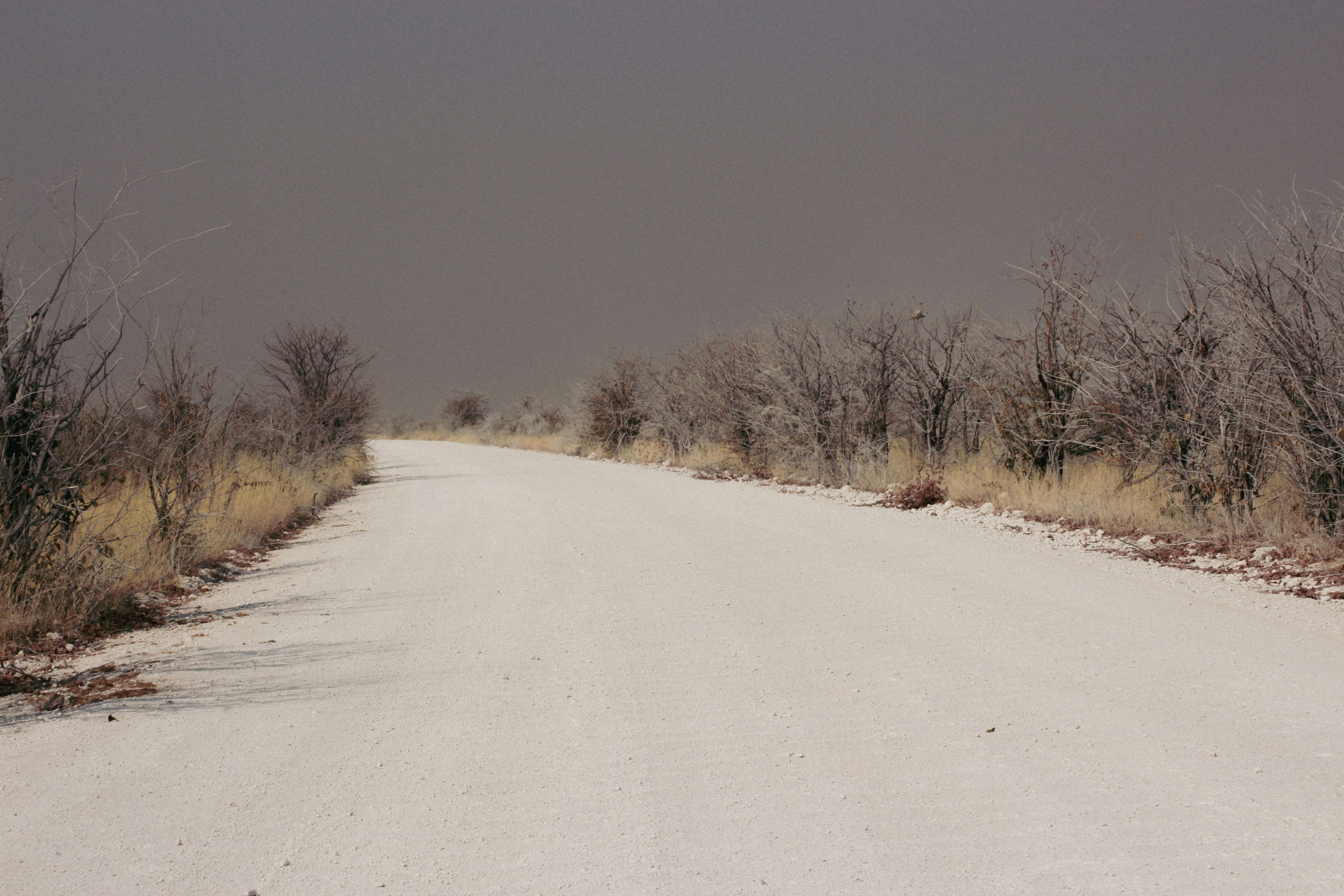 A road with snow on the side photo – Free Namibia Image on Unsplash
