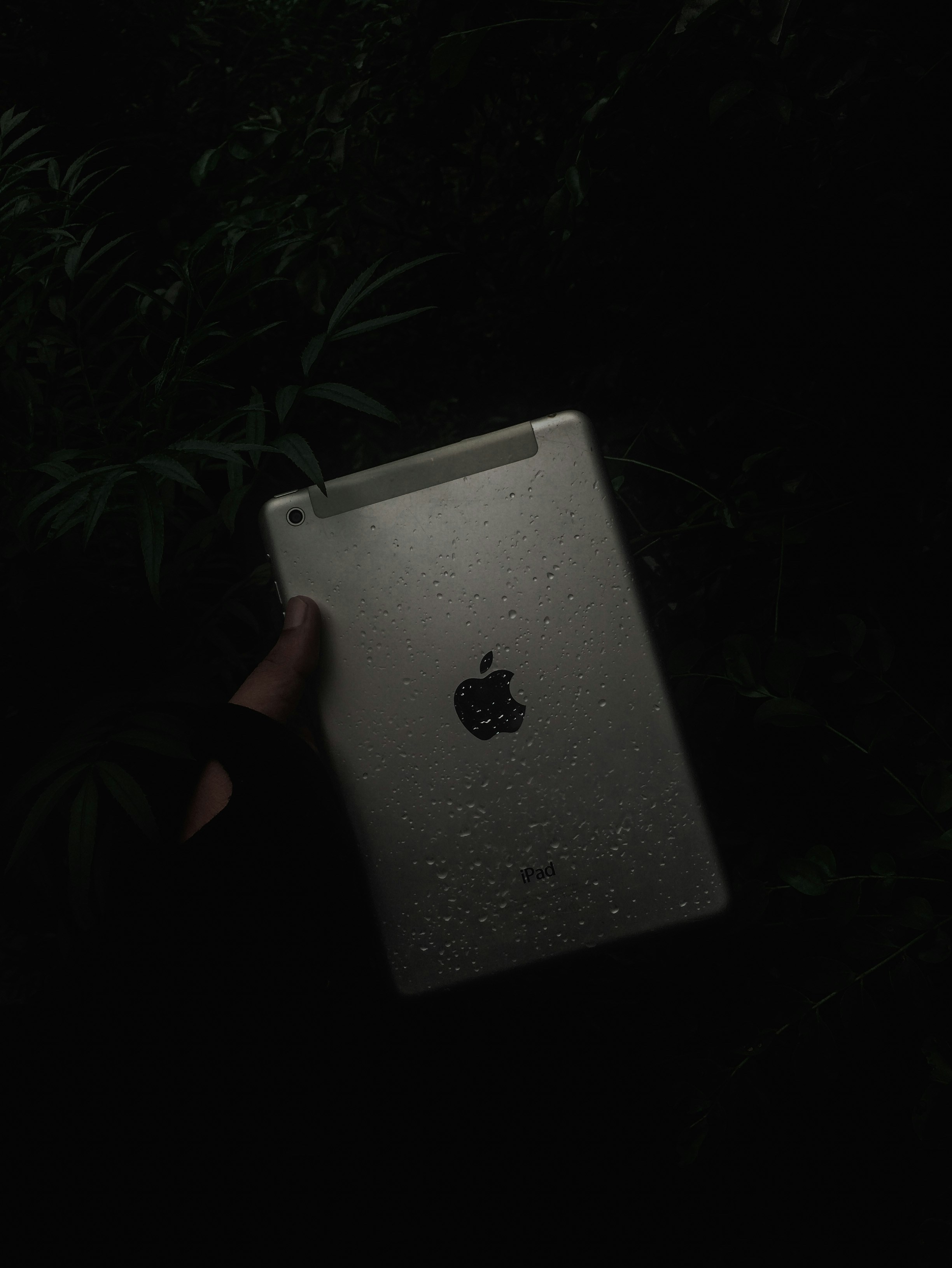 Ipad 