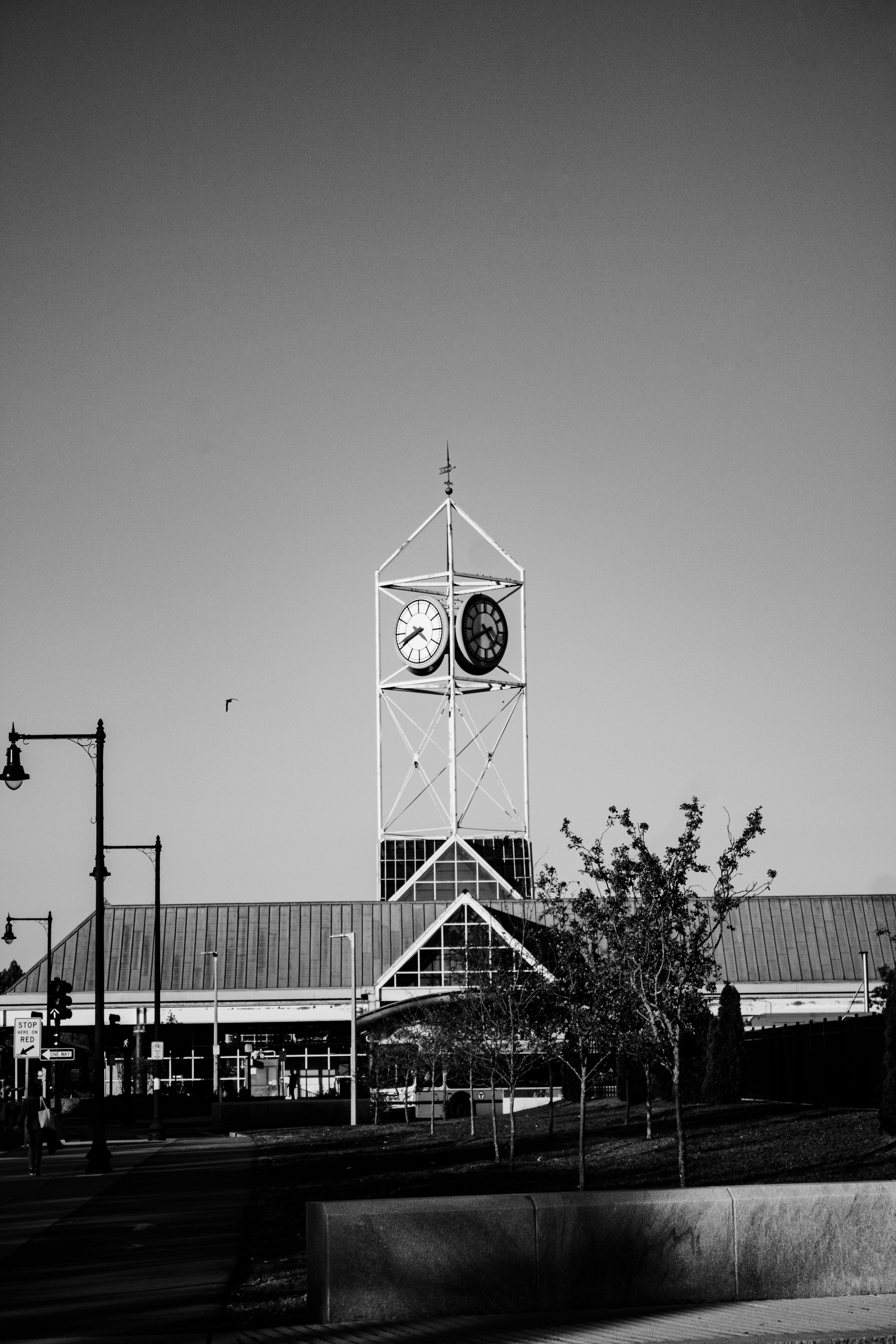 Clock Tower Rising Over a Quiet Plaza