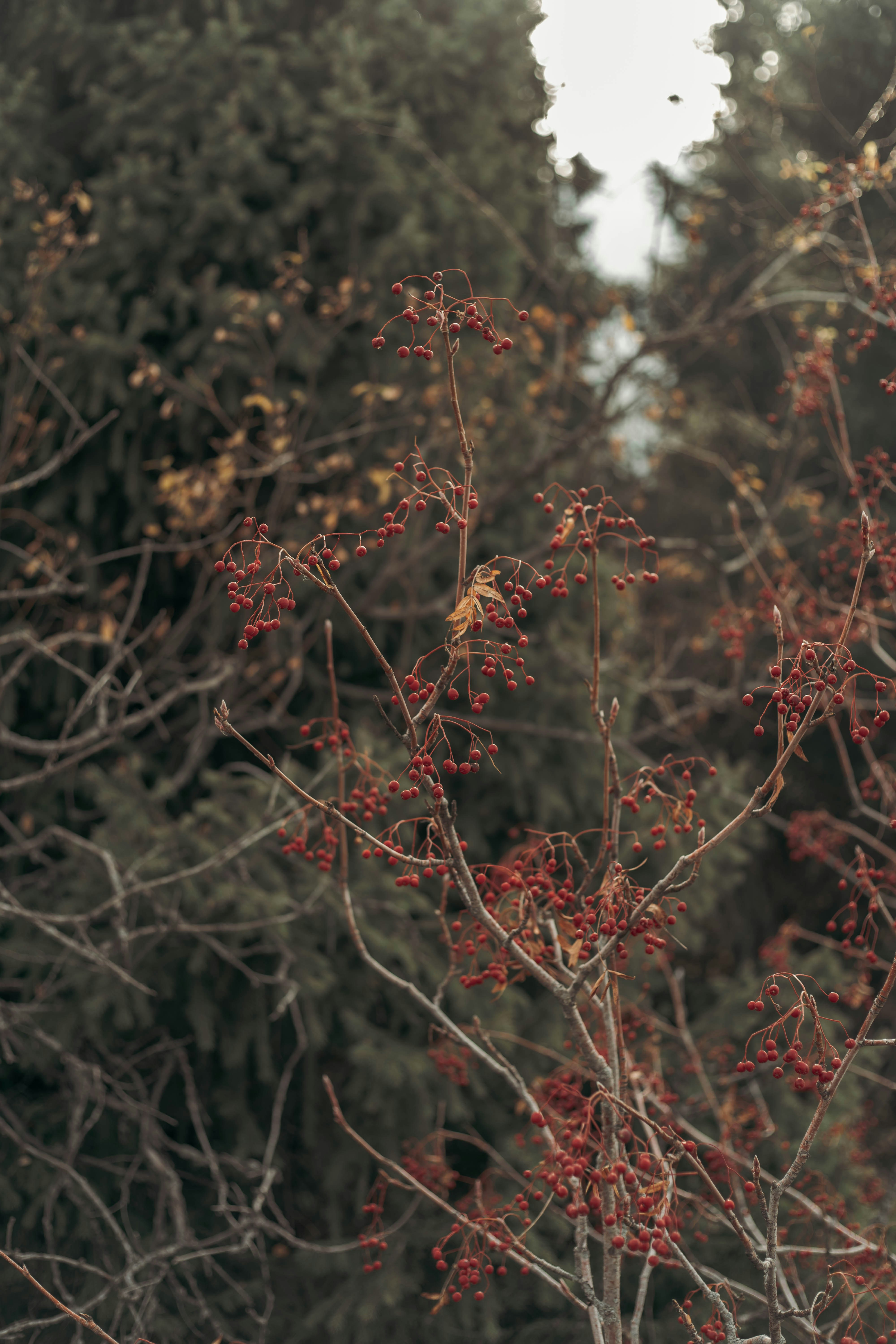 Photo by Anna with Sigma fp