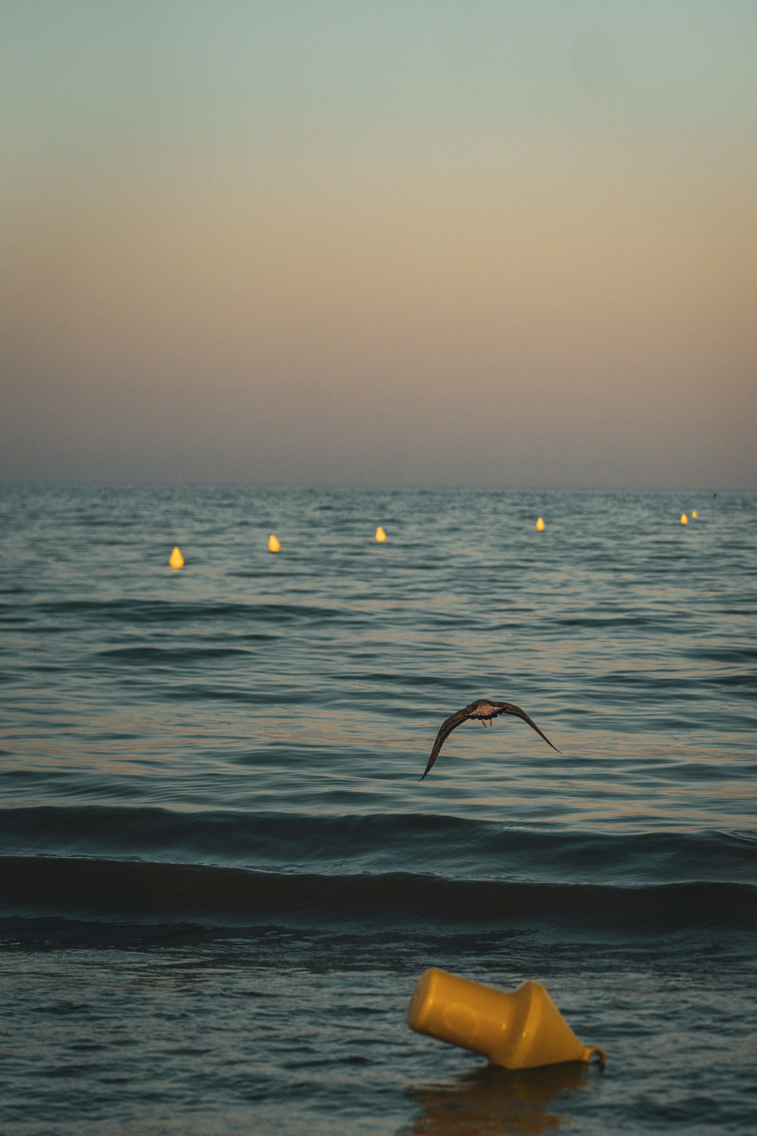 Low Tide, High Horizon: A Seagull’s Quiet Flight over Distant Buoys