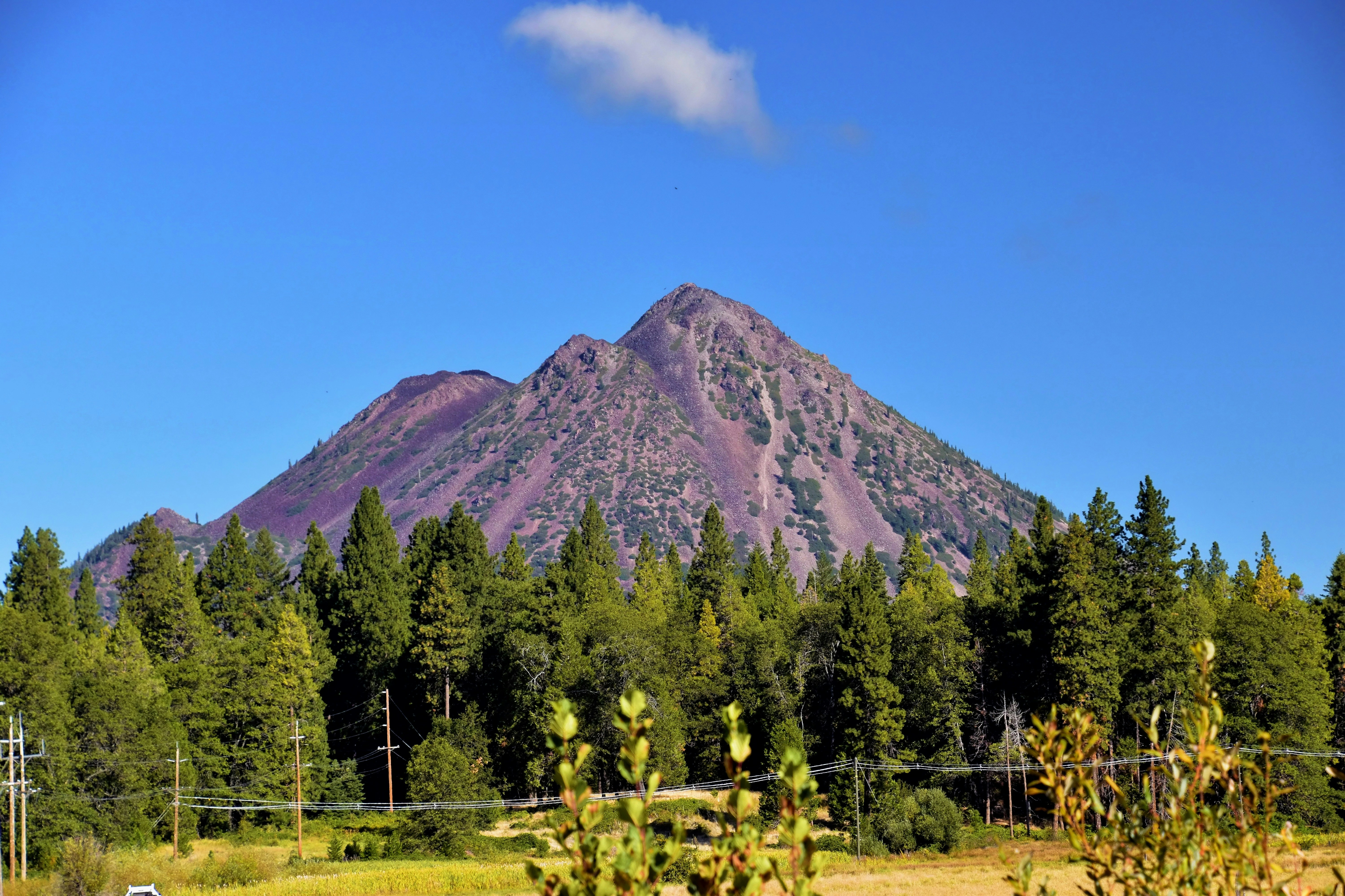 A mountain with trees in front of it photo – Free Mount shasta Image on ...