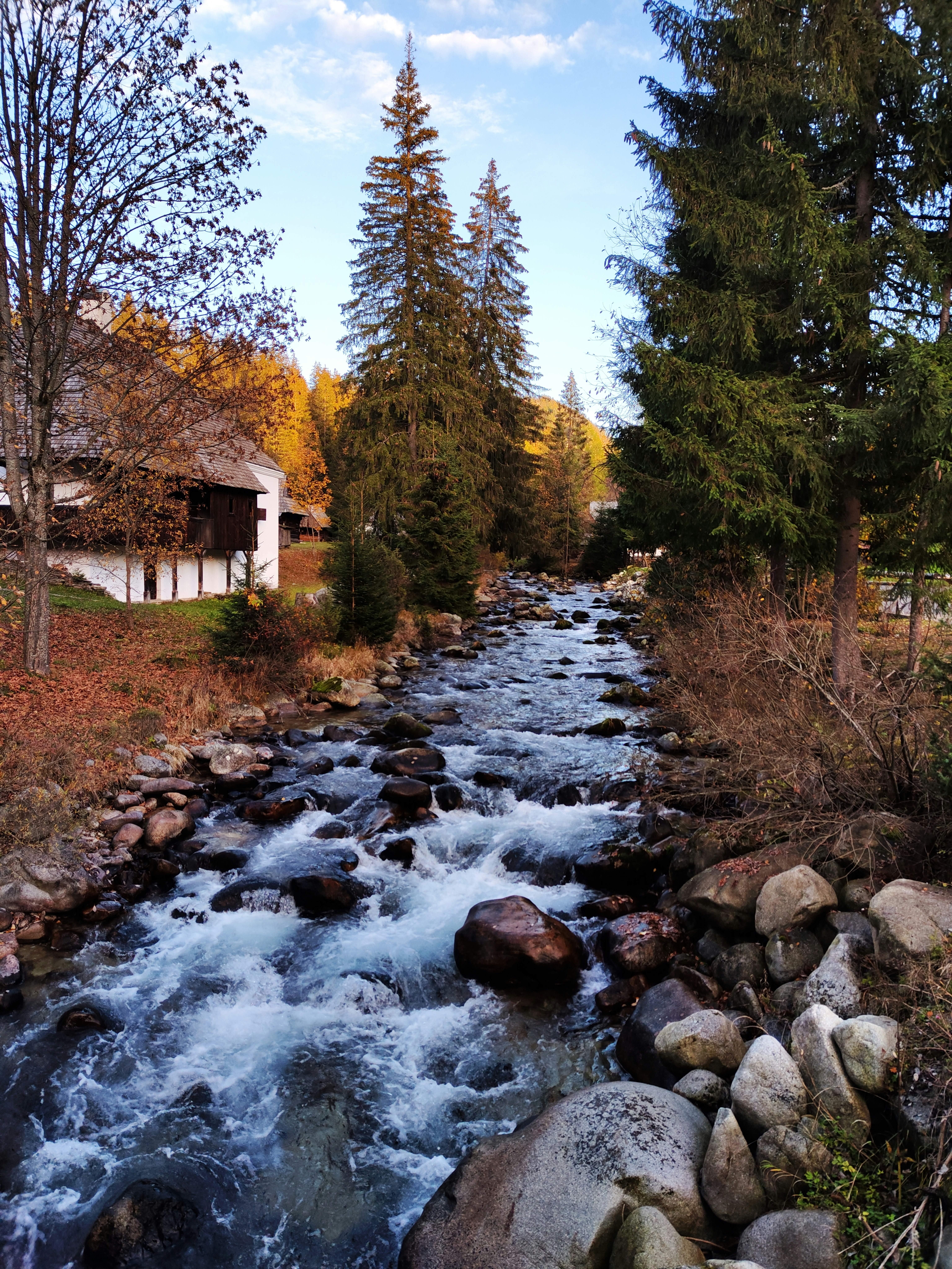 Mountain river winds through a village with colorful fall foliage and evergreen trees, lined by a rocky bank and a wooden house on the left.