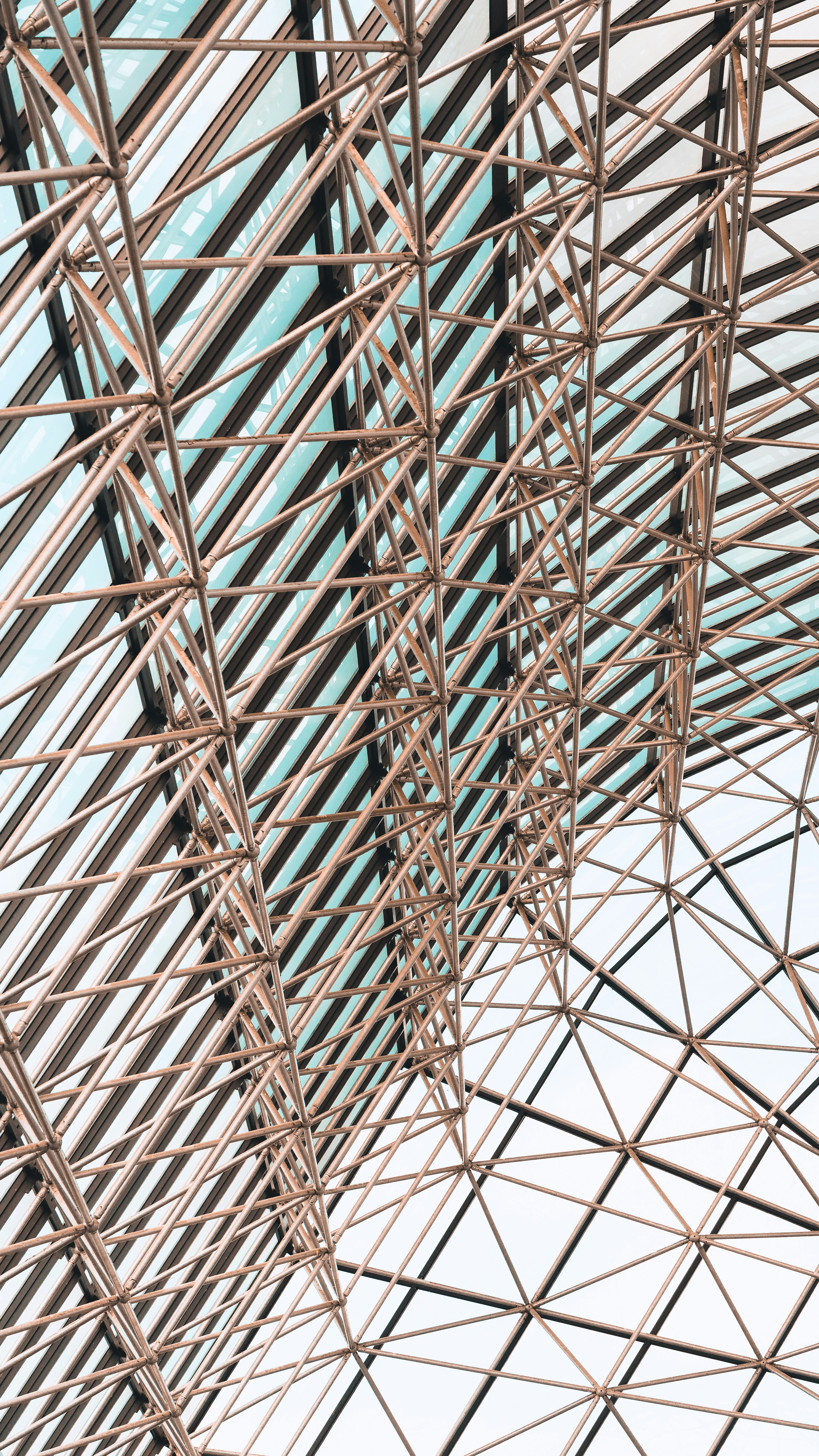 Intricate metal lattice structure forming a geometric pattern beneath a glass roof.
