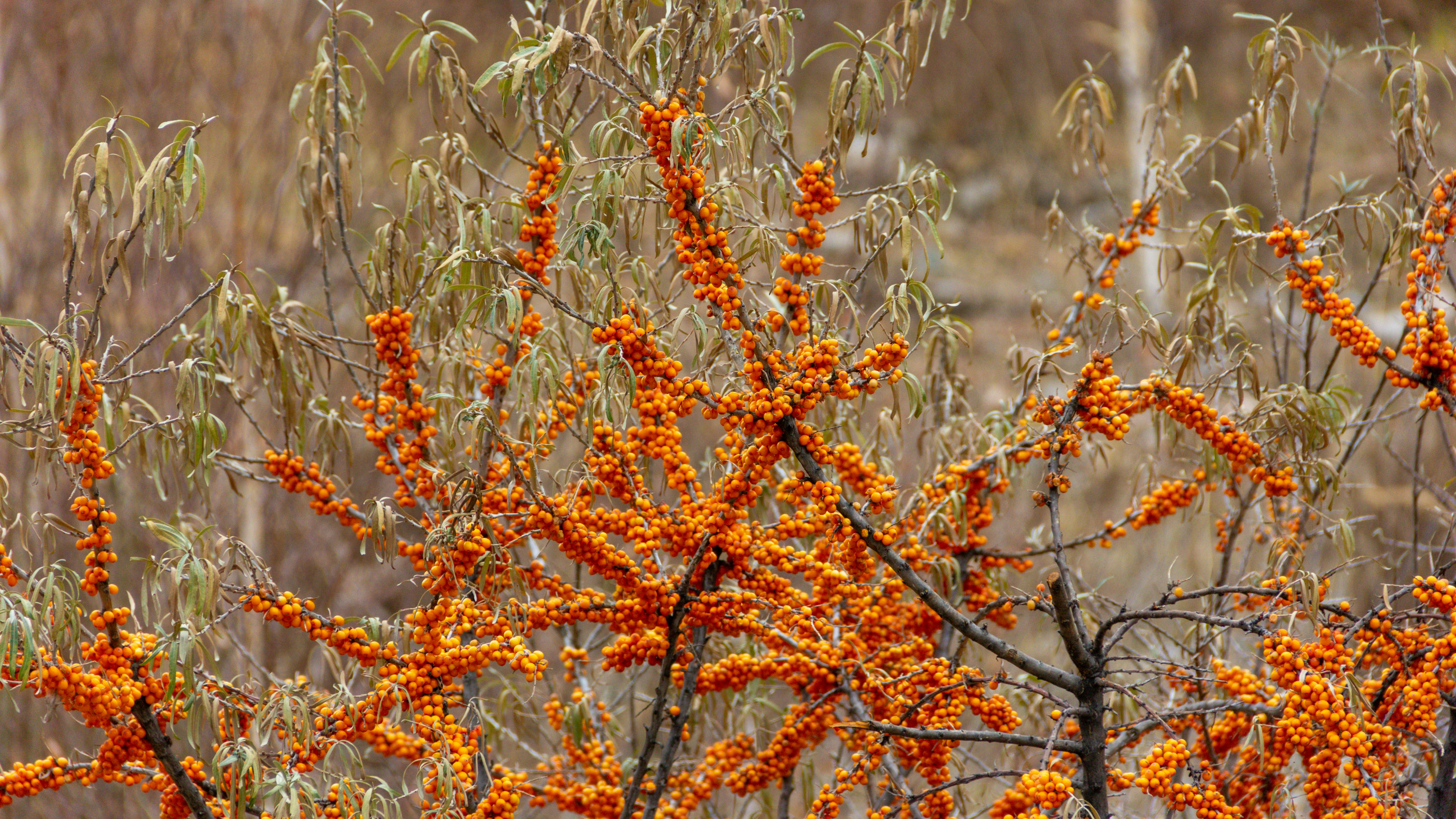 Photo by Dmitriy Panchenko with Canon EOS 600D