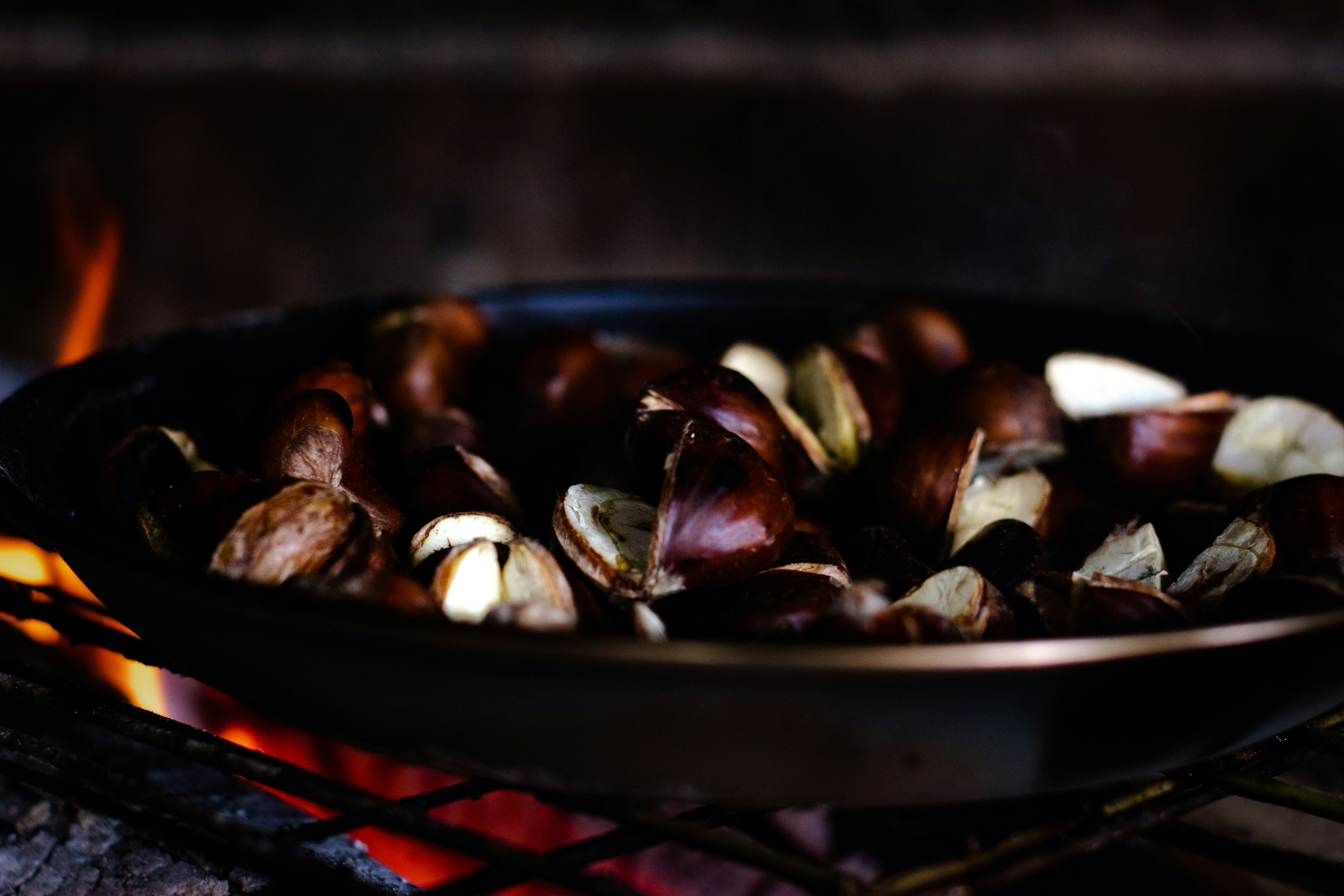 Brasa Pictures | Download Free Images on Unsplash
