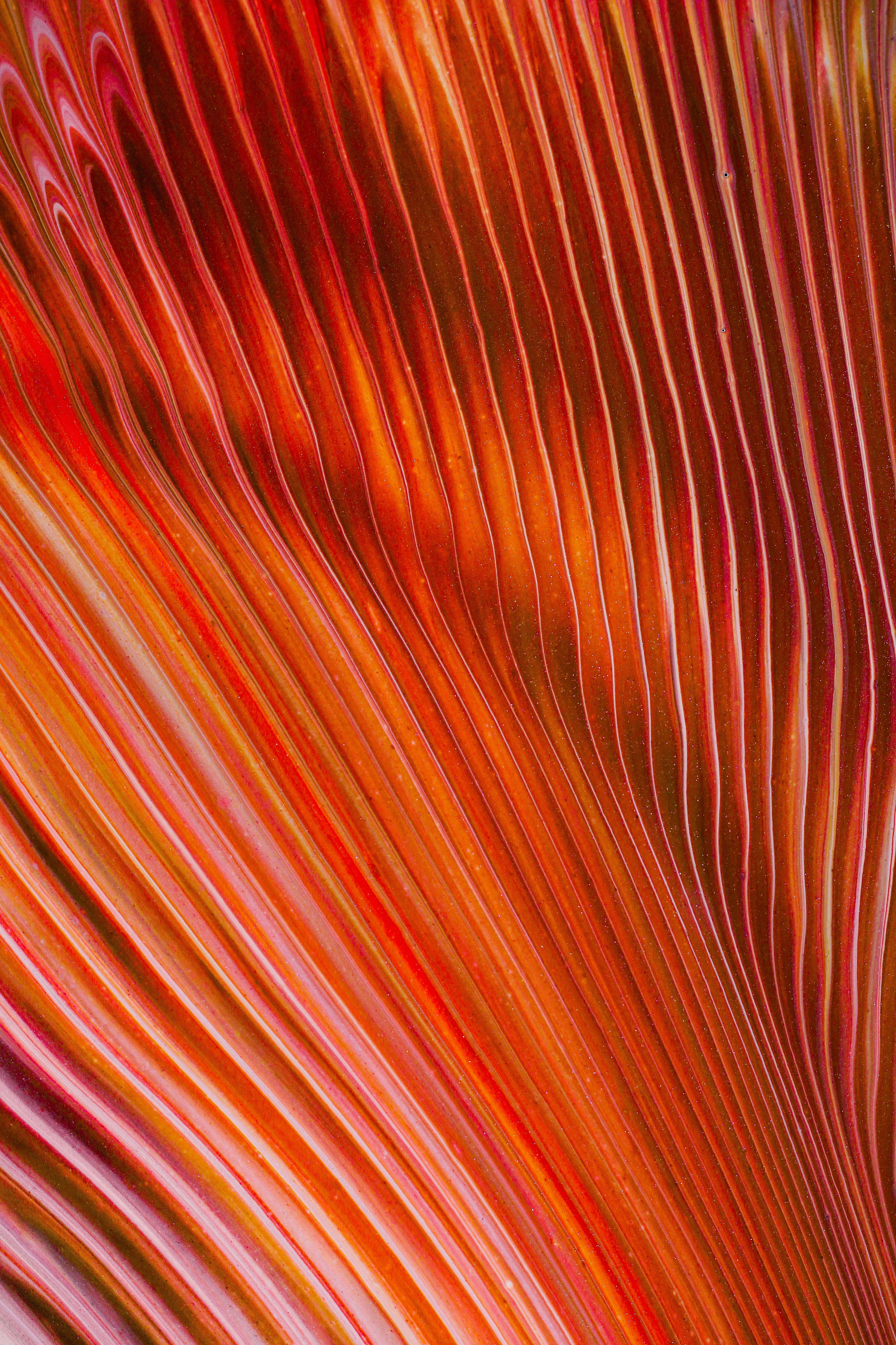 Sample photo from Canon EOS 2000D