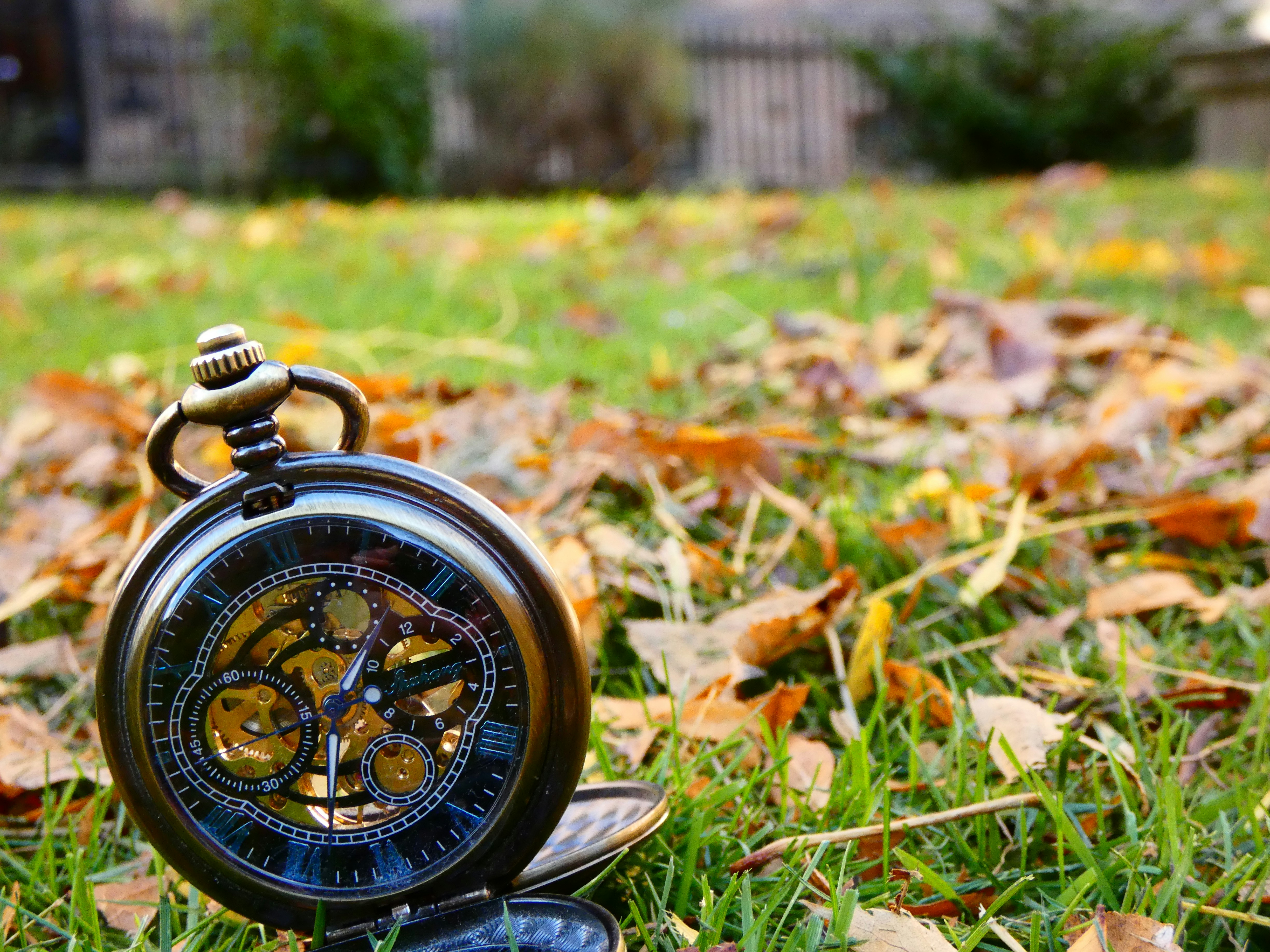 Autumn's Clockwork: Brass Pocket Watch Lying Among Fall Leaves