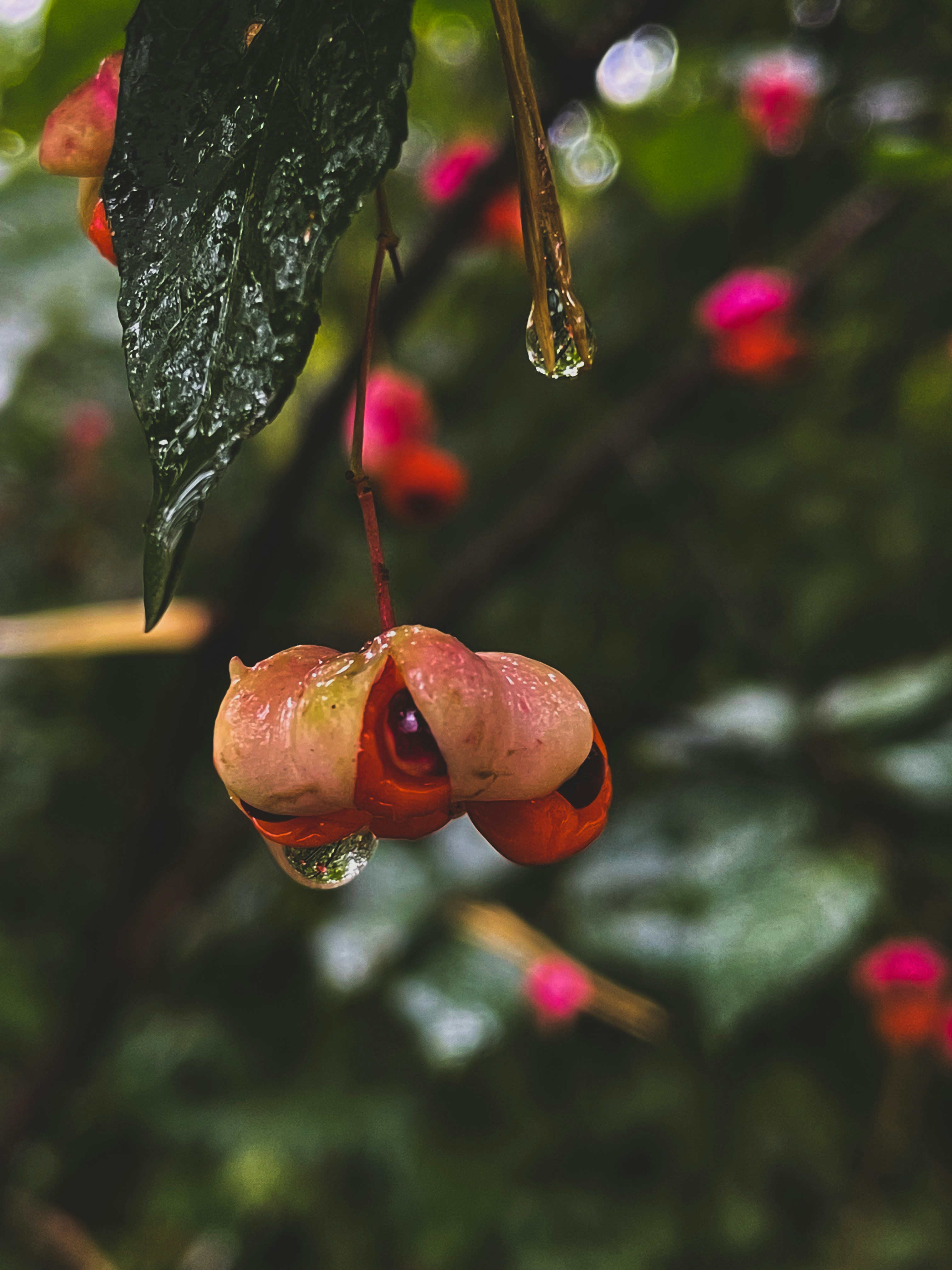 Rain-Kissed Berry Pendant in a Blur of Green