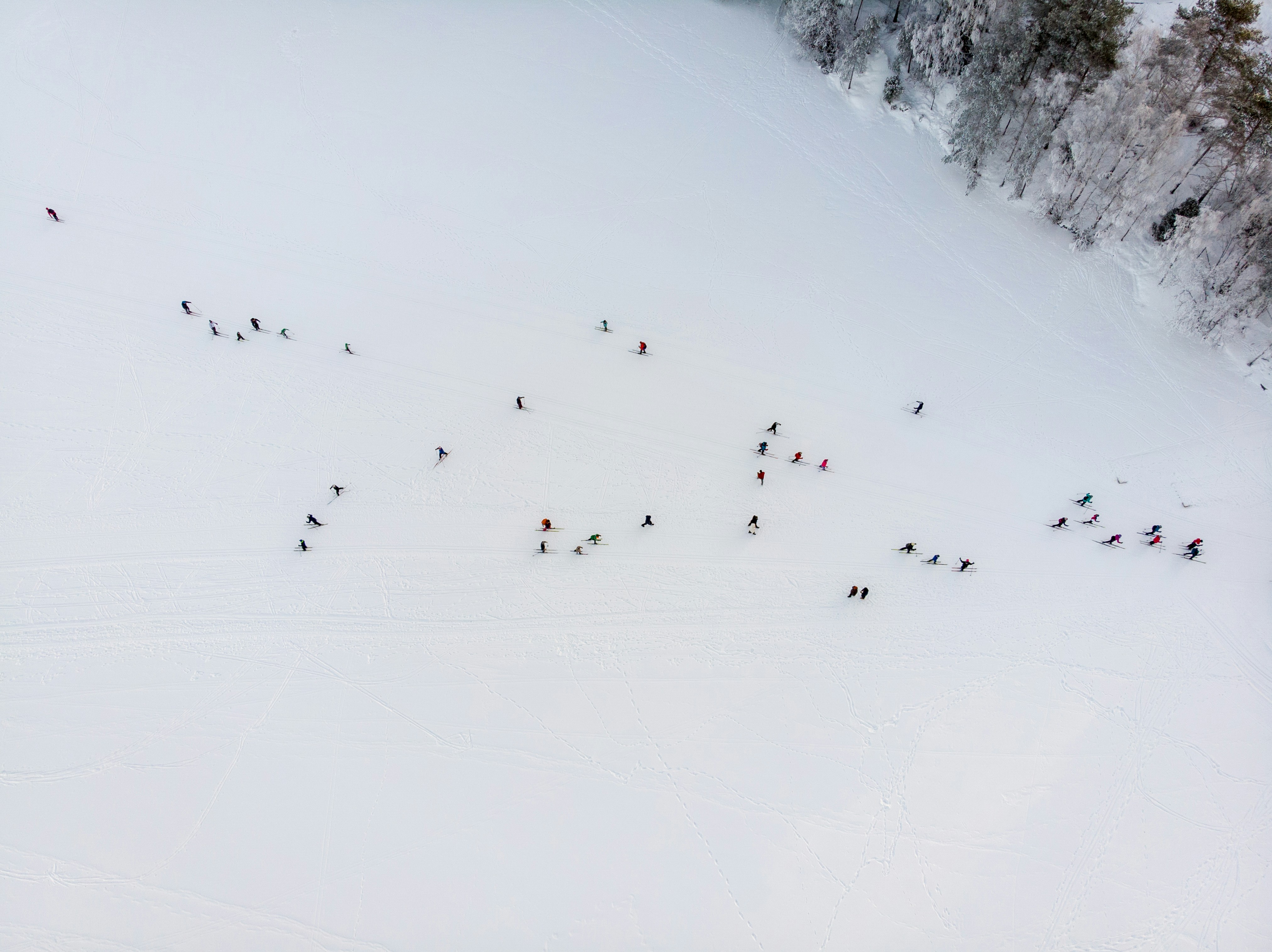 Skiers on the frozen lake
